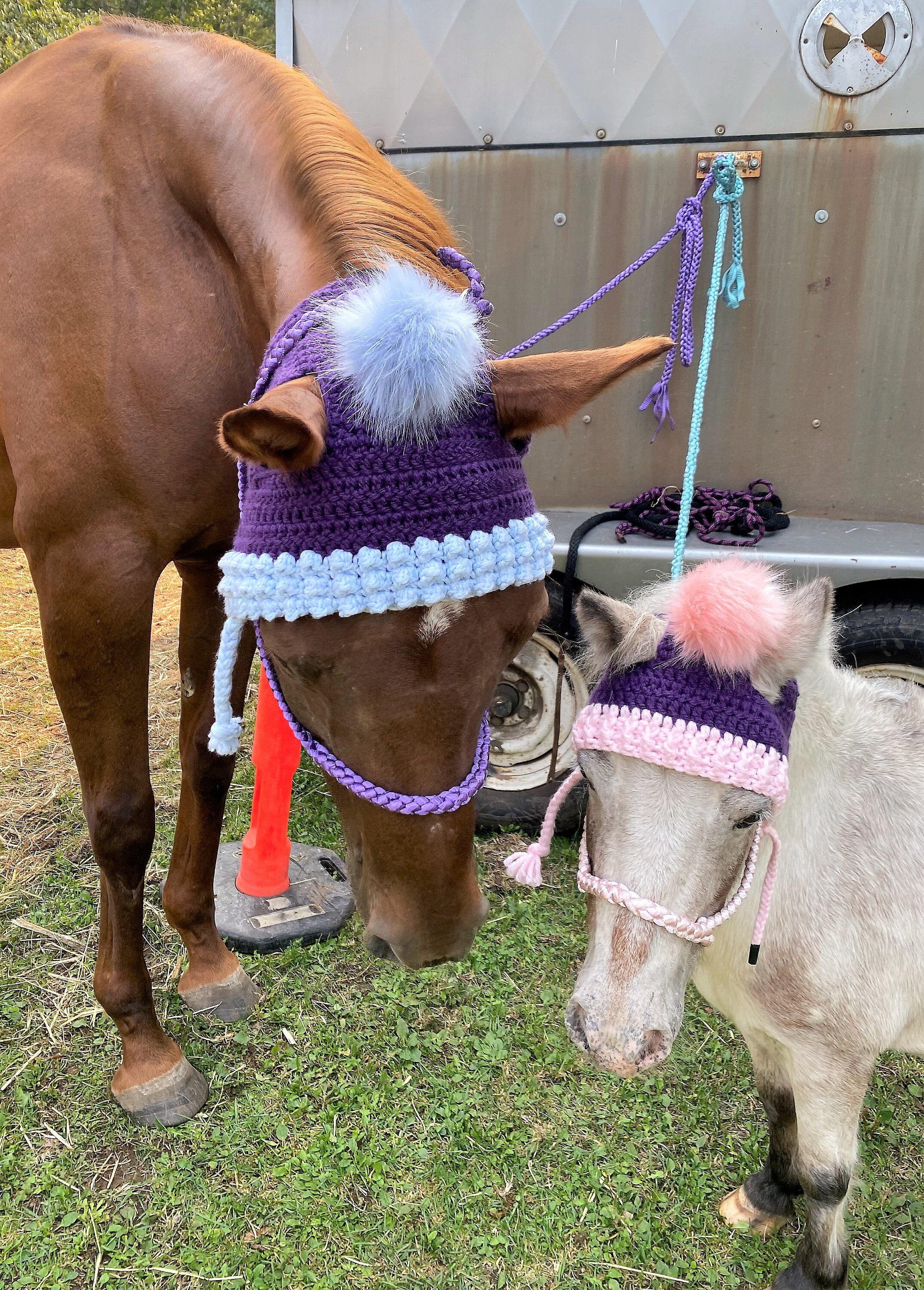 Crochet PATTERN Horse Hat Mini/full/large - Etsy