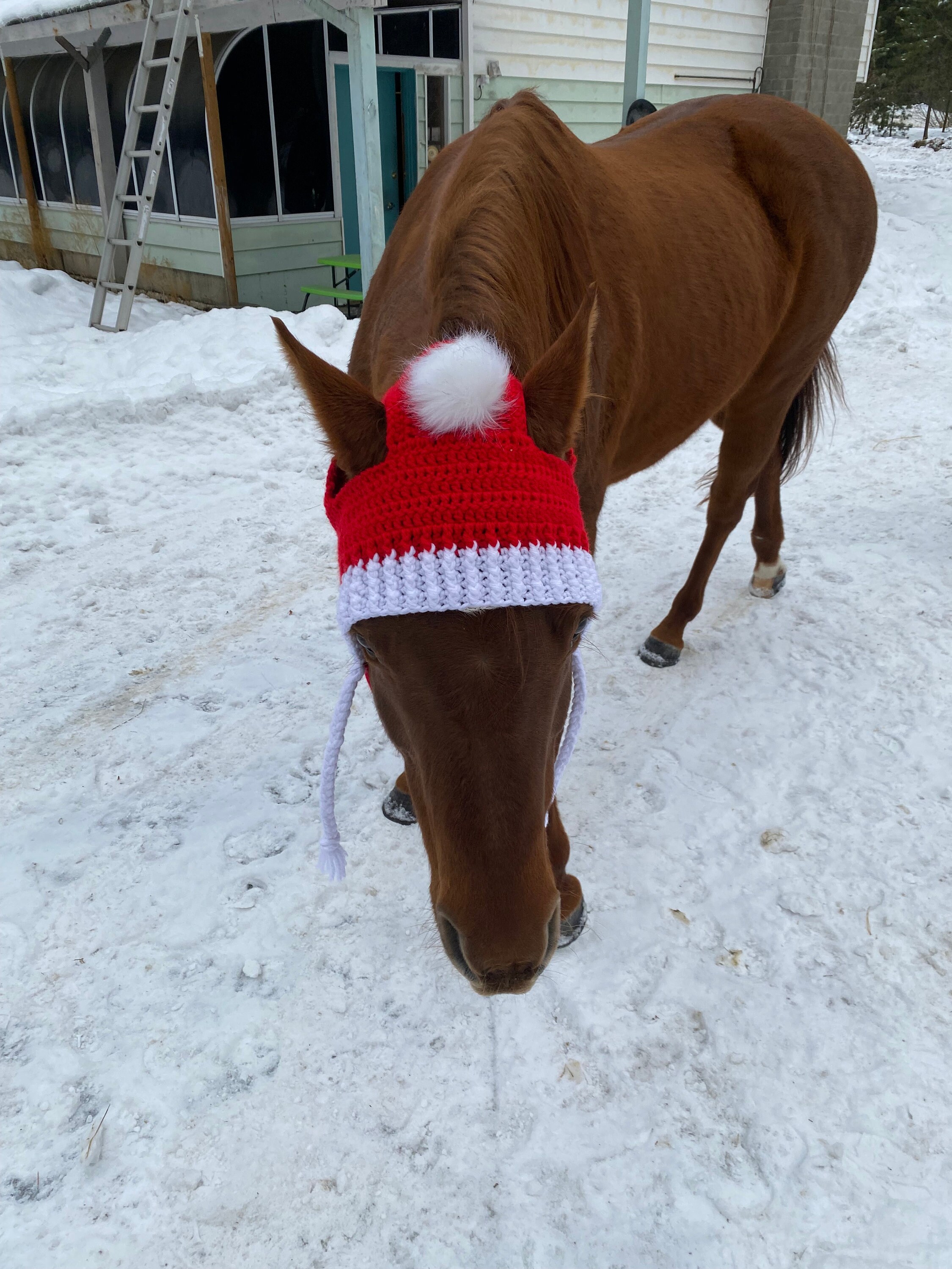 Crochet PATTERN Horse Hat Mini/full/large - Etsy