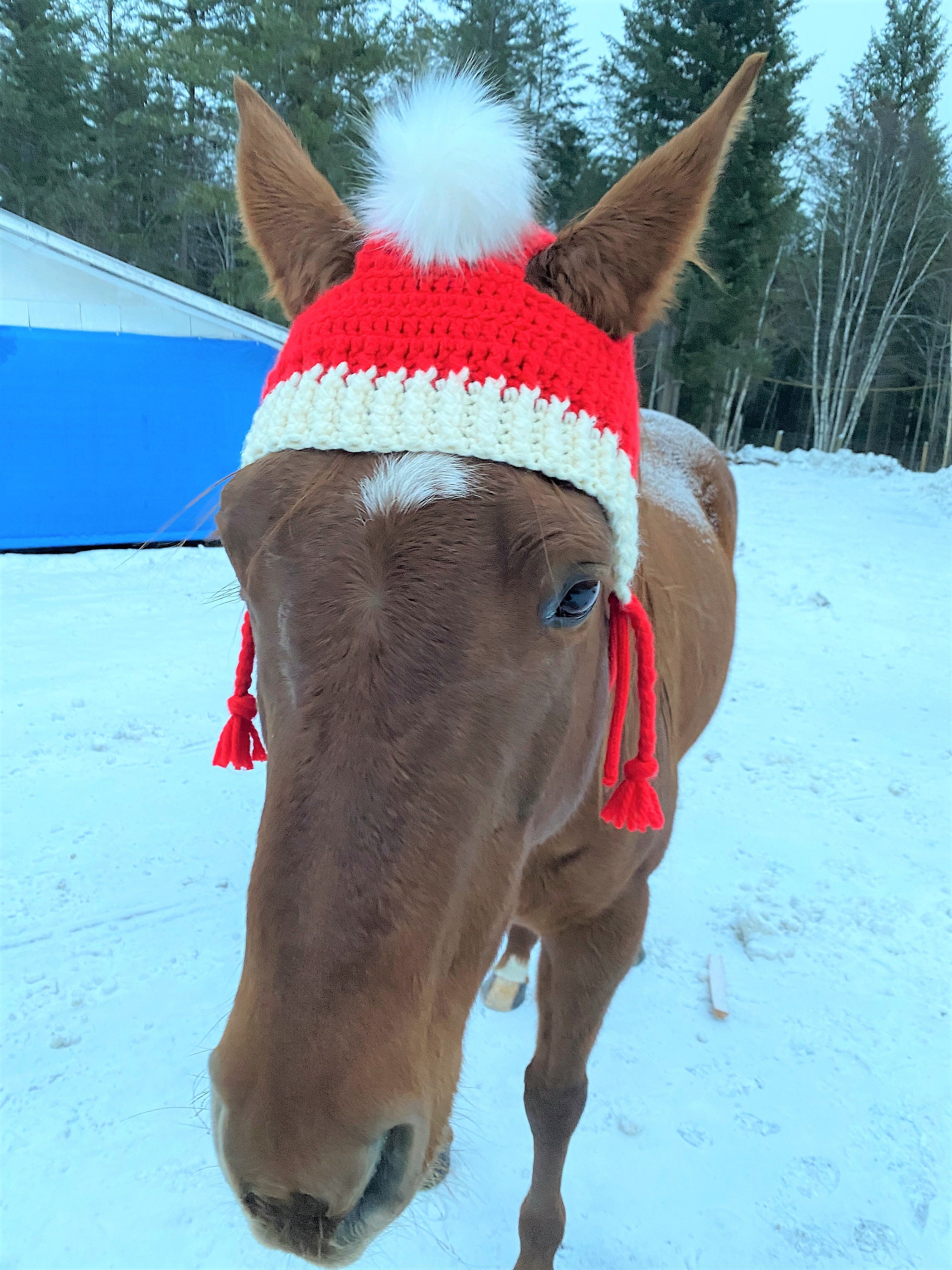 Horse Hat in Full Size - Crochet, Handmade, Horse, Christmas Hat - Etsy