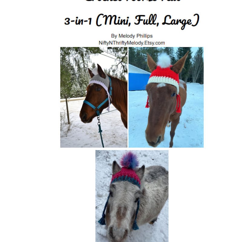 Mini Horse Santa Hats - Etsy