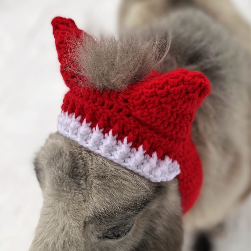 Ear Muffs for Horses - Etsy