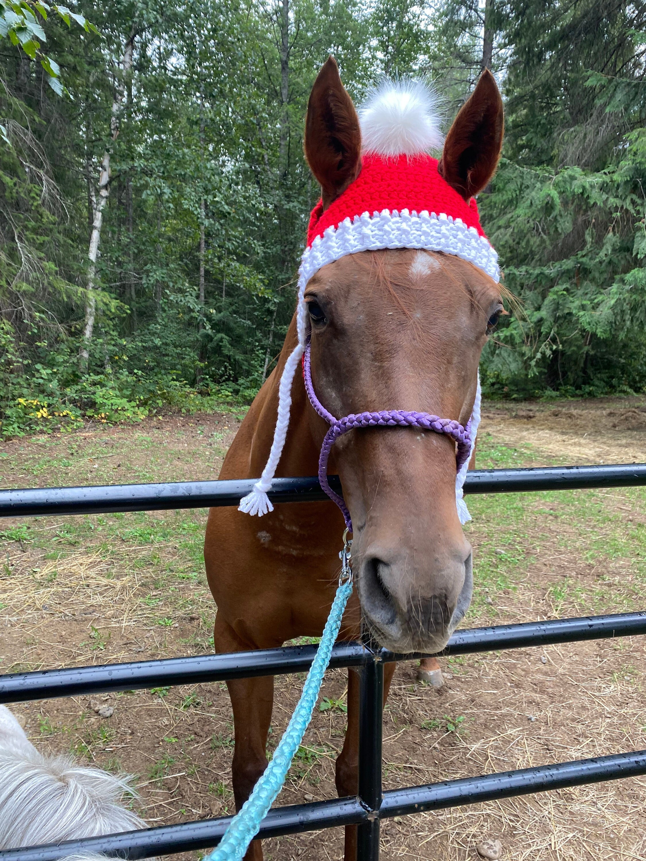Horse Hat in Full Size Crochet Handmade Horse Christmas - Etsy