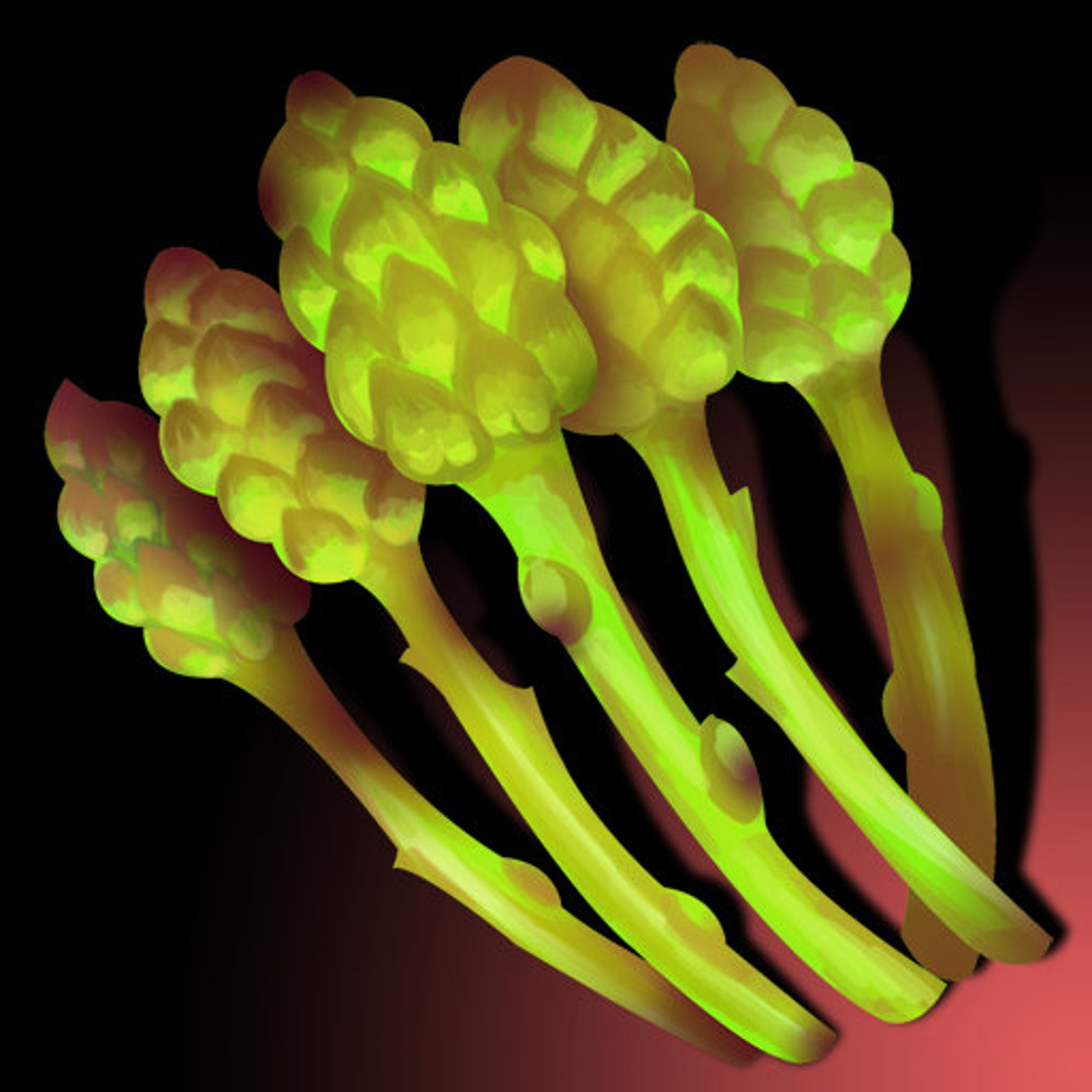 Fruitful Fantasy and Vegetable - Icons - Video Game - RPG - Dnd - High ...