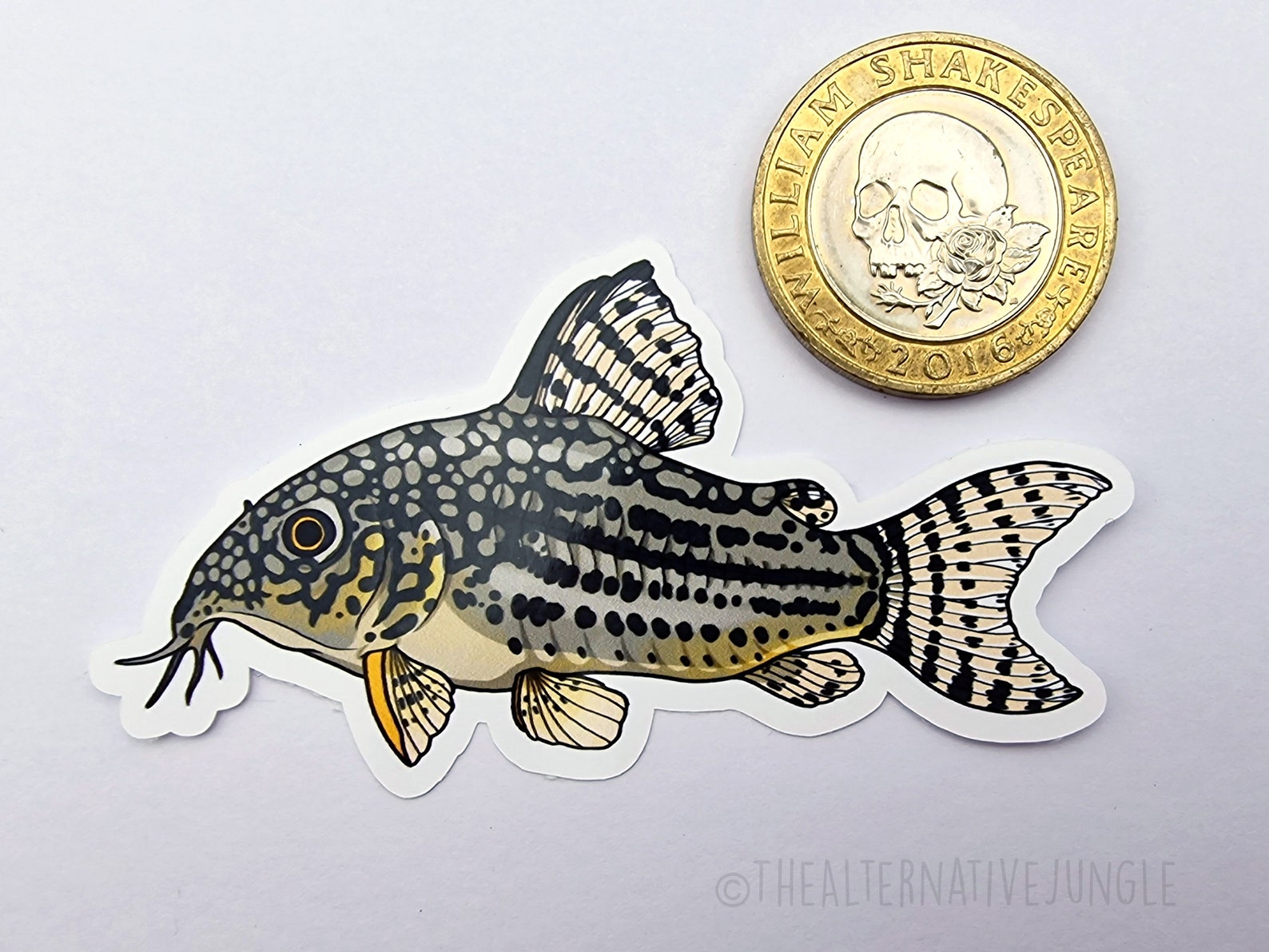 Sterbas Cory Sticker - Die Cut Vinyl Corydoras Waterproof Decal - Etsy