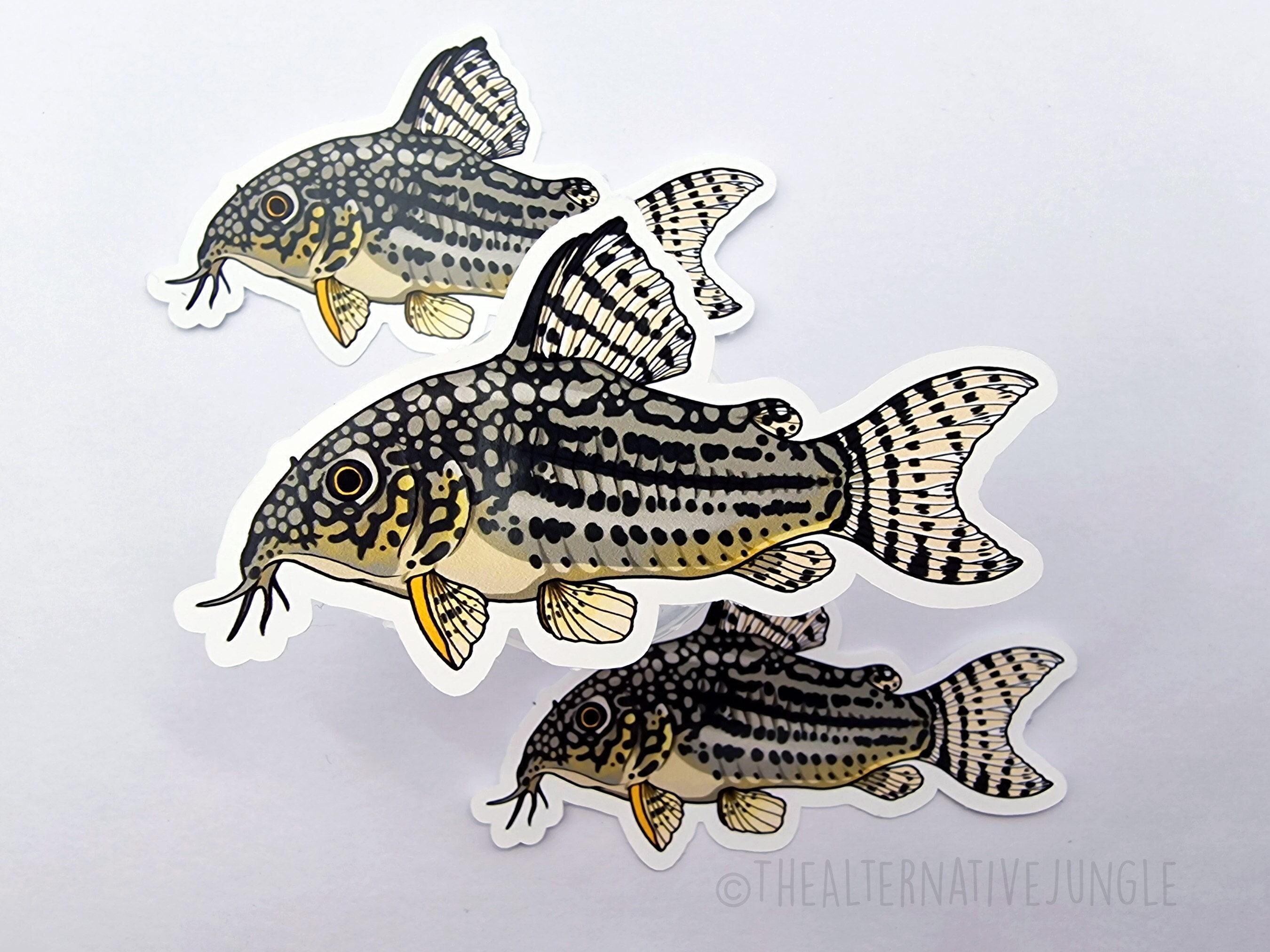 Sterbas Cory Sticker - Die Cut Vinyl Corydoras Waterproof Decal - Etsy