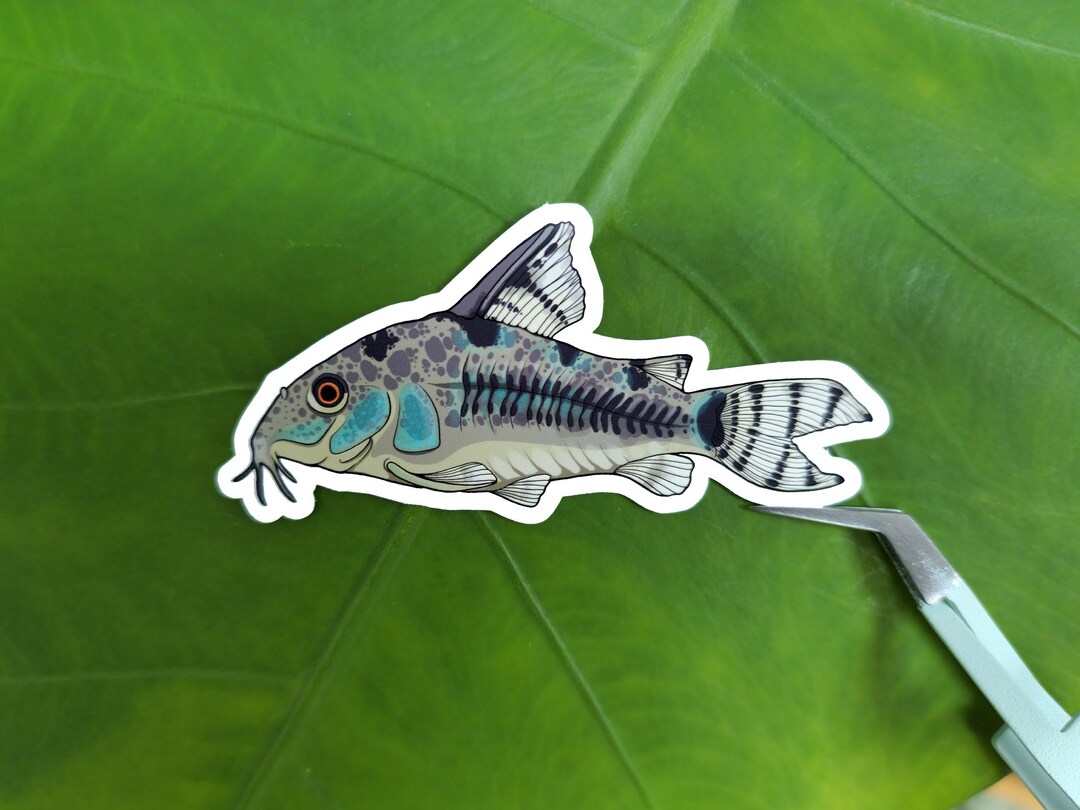 Peppered Cory Sticker - Die Cut Vinyl Corydoras Waterproof Decal - Etsy