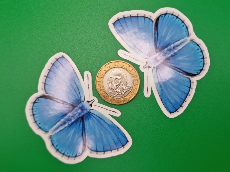 Butterfly Sticker - Adonis Blue English Butterfly Glossy Decal - Etsy