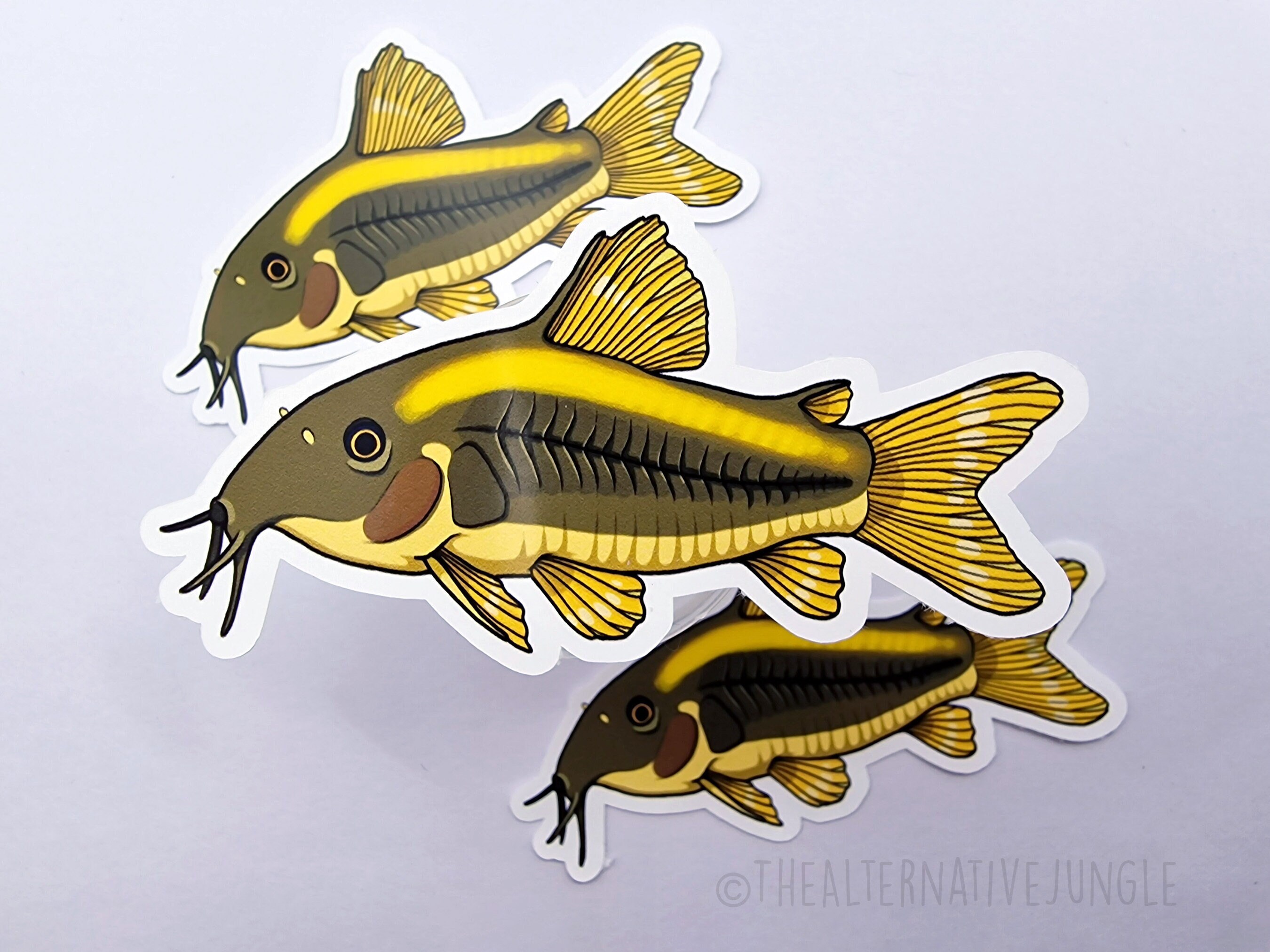 Gold Laser Cory Sticker - Die Cut Vinyl Corydoras Waterproof Decal - Etsy