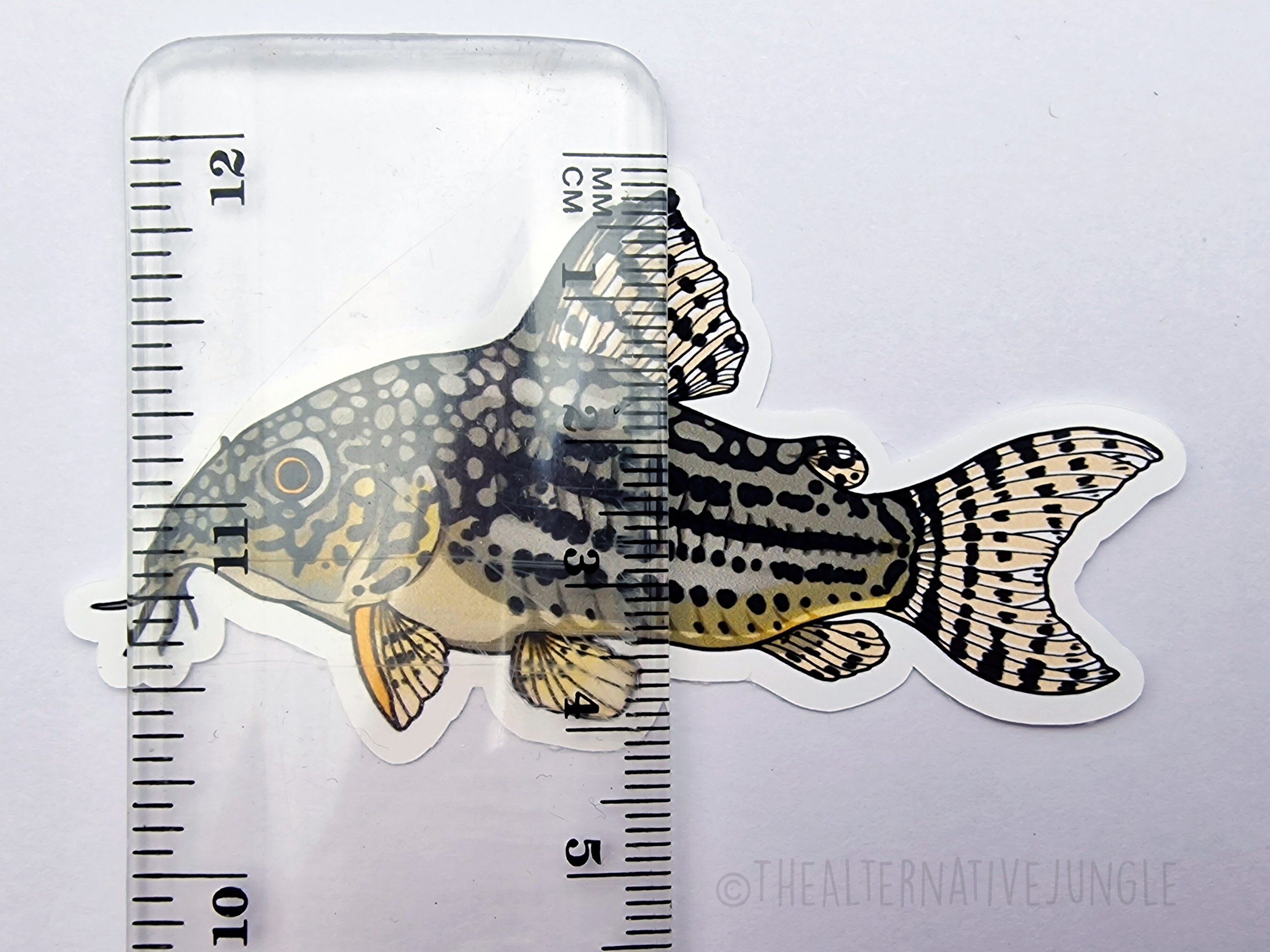 Sterbas Cory Sticker - Die Cut Vinyl Corydoras Waterproof Decal - Etsy