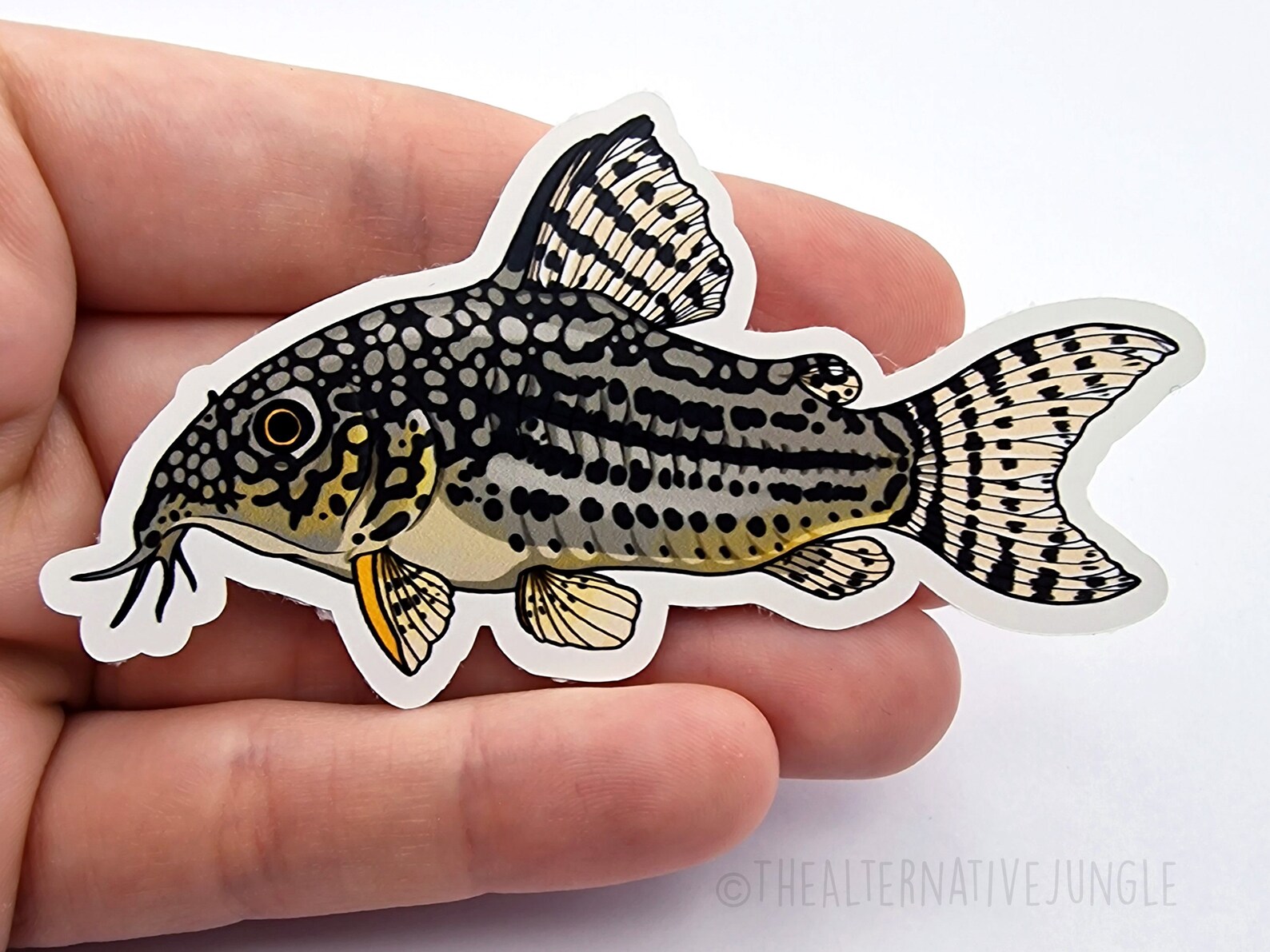 Sterbas Cory Sticker - Die Cut Vinyl Corydoras Waterproof Decal - Etsy