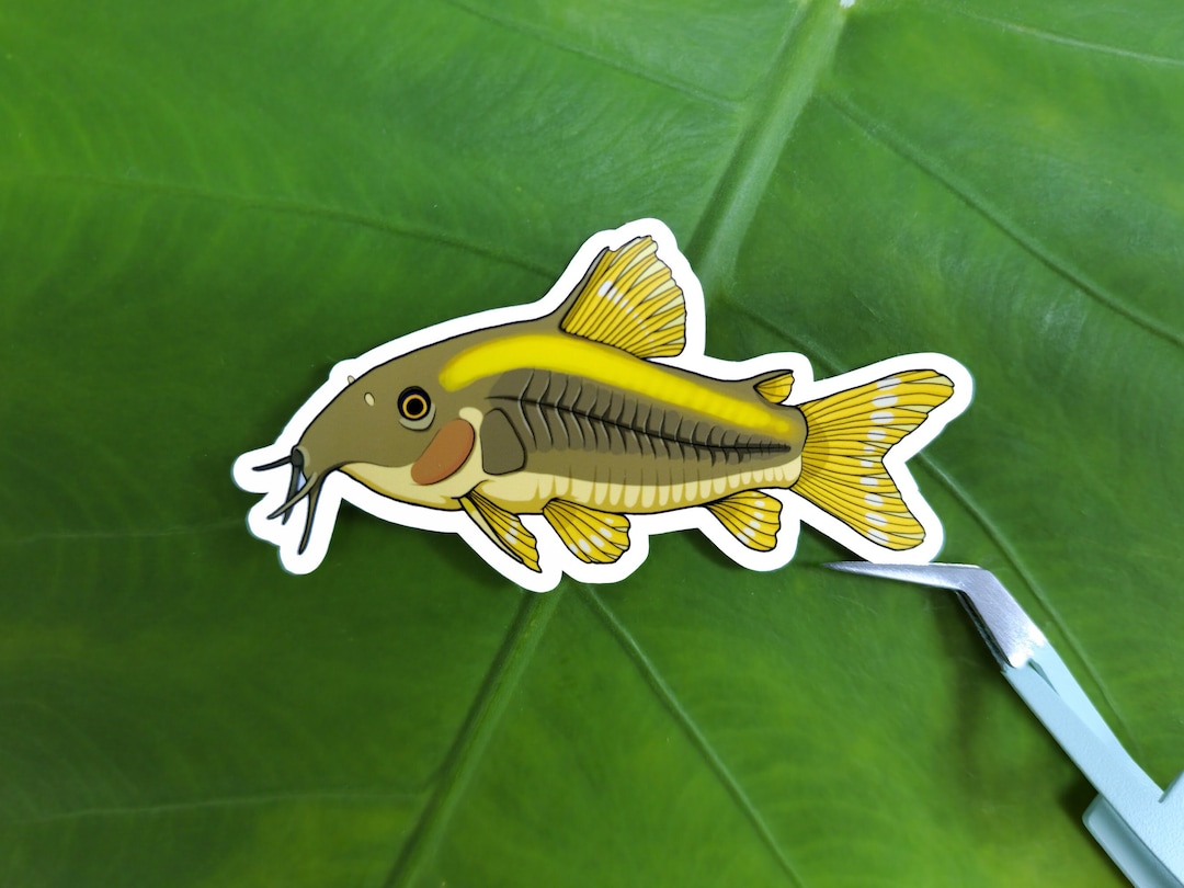 Gold Laser Cory Sticker - Die Cut Vinyl Corydoras Waterproof Decal - Etsy