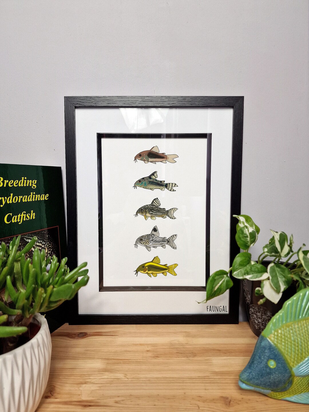 Cory Catfish A4 Print - Corydoras Illustration - Fish Wall Art - Etsy