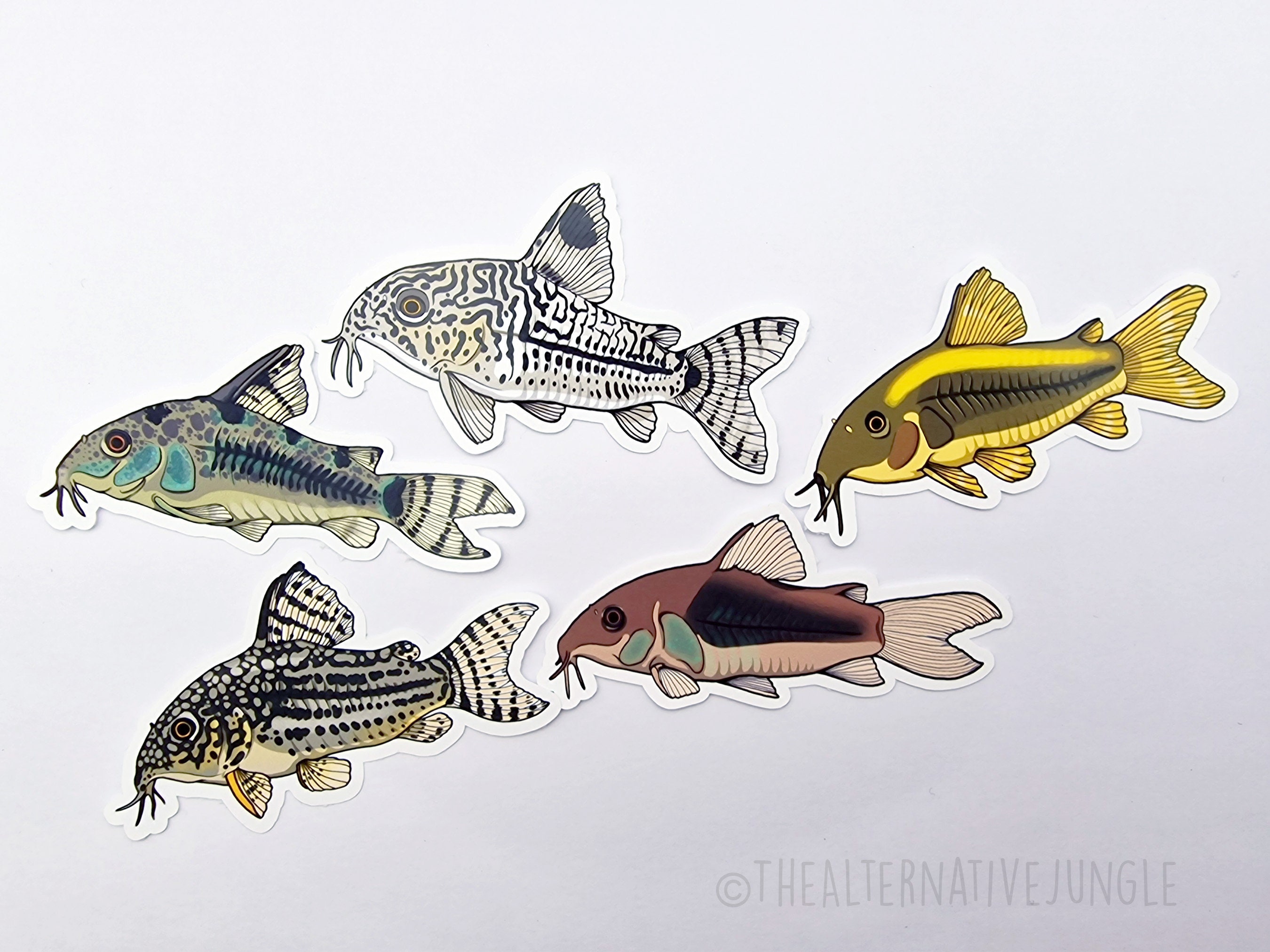 Sterbas Cory Sticker - Die Cut Vinyl Corydoras Waterproof Decal - Etsy