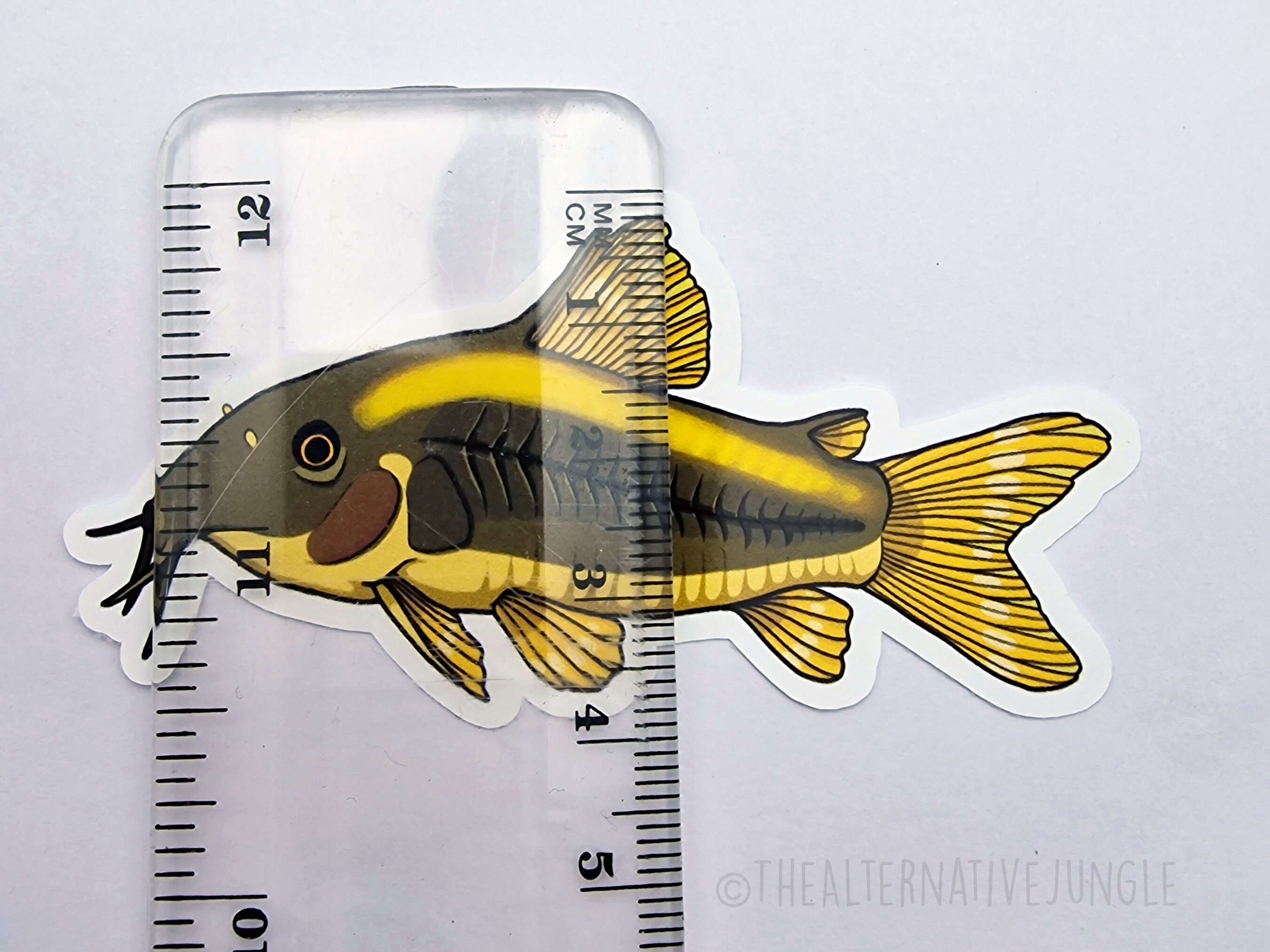 Gold Laser Cory Sticker Die Cut Vinyl Corydoras Waterproof Decal - Etsy