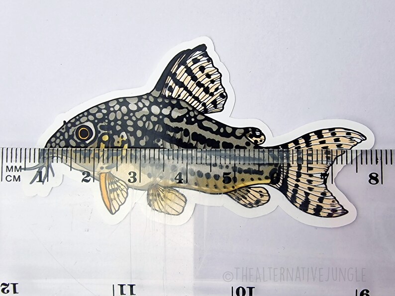Sterbas Cory Sticker Die Cut Vinyl Corydoras Waterproof - Etsy