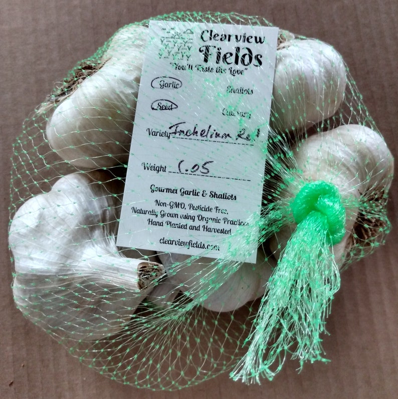 Inchelium Red Seed Garlic - Etsy