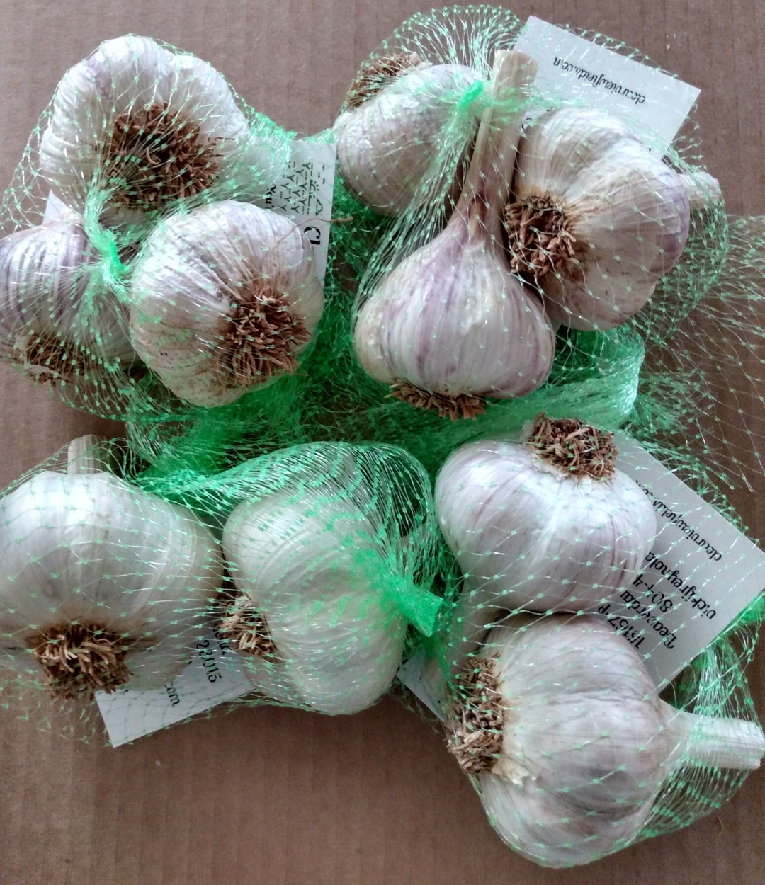 Gourmet Garlic Chef's Sampler - Etsy