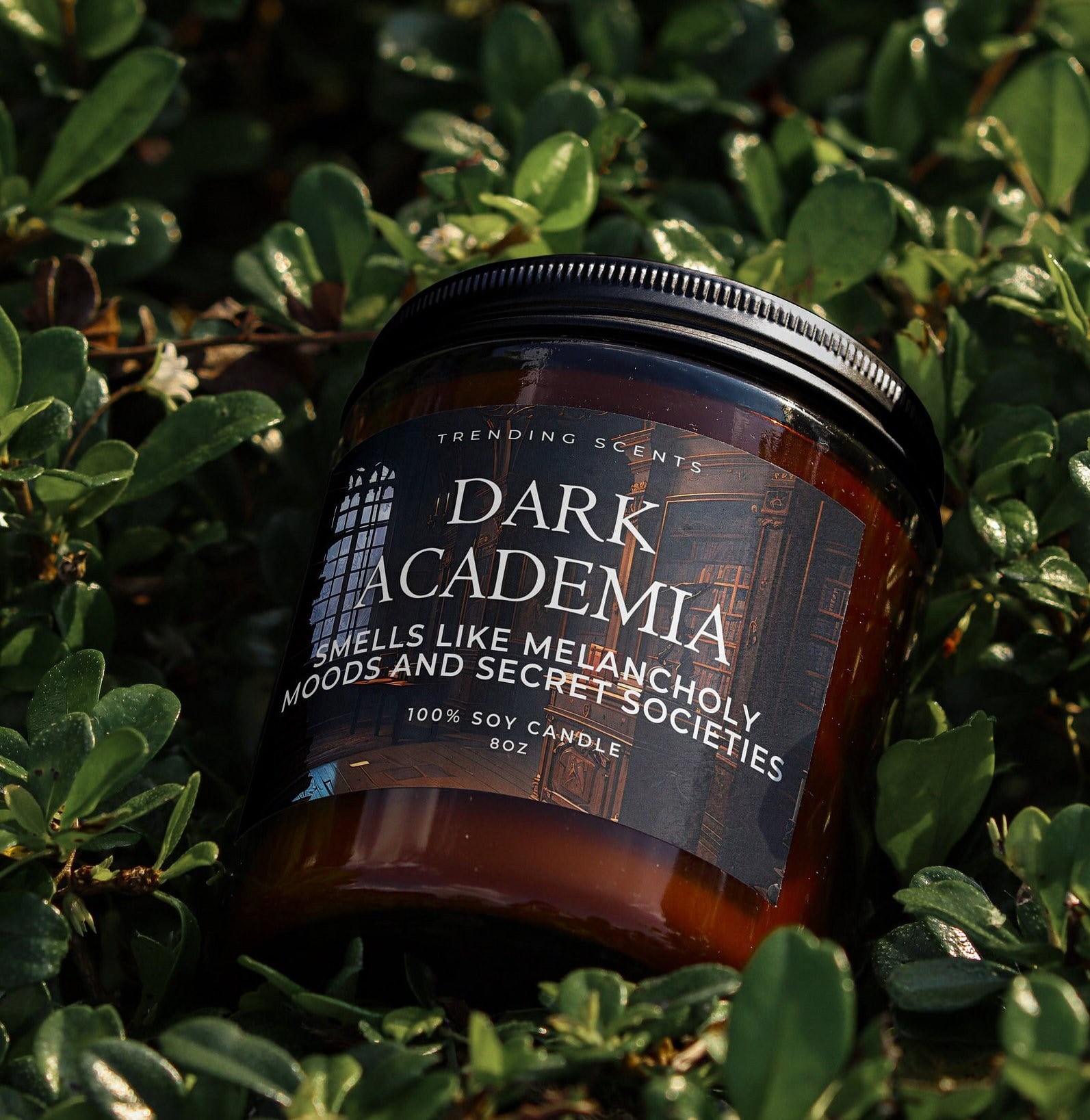 Dark Academia Candle | Smells Like Melancholy Moods and Secret ...