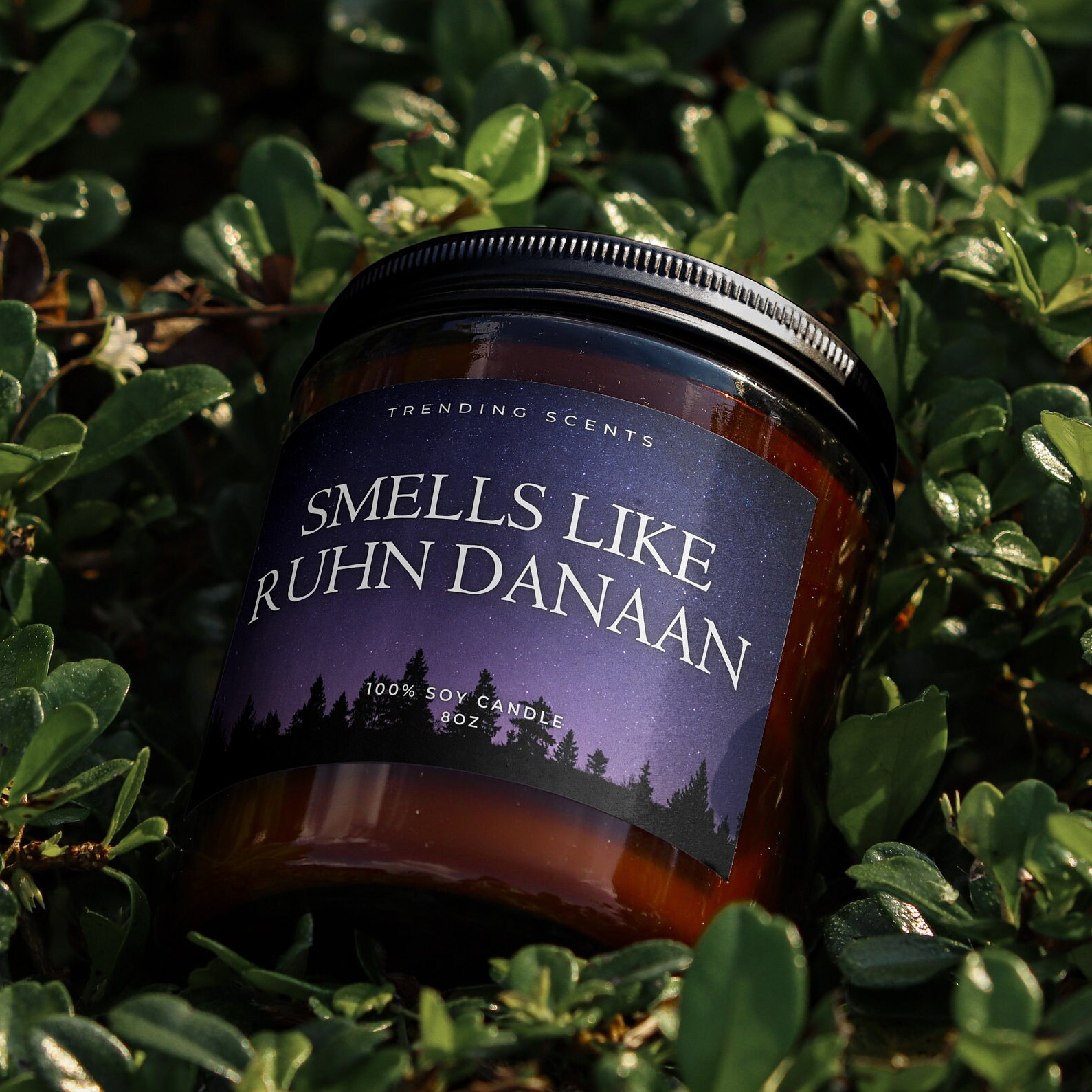 Smells Like Ruhn Danaan Candle | Acotar Inspired | Bookish / Book Lover ...