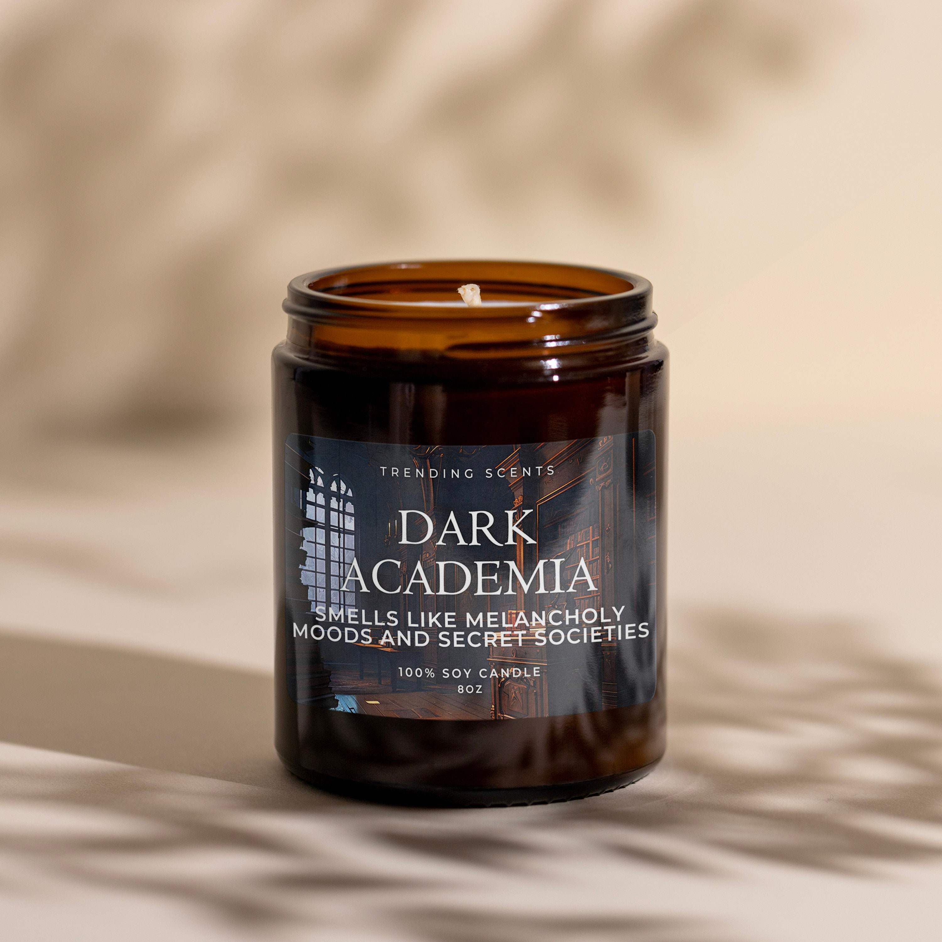 Dark Academia Candle | Smells Like Melancholy Moods and Secret ...