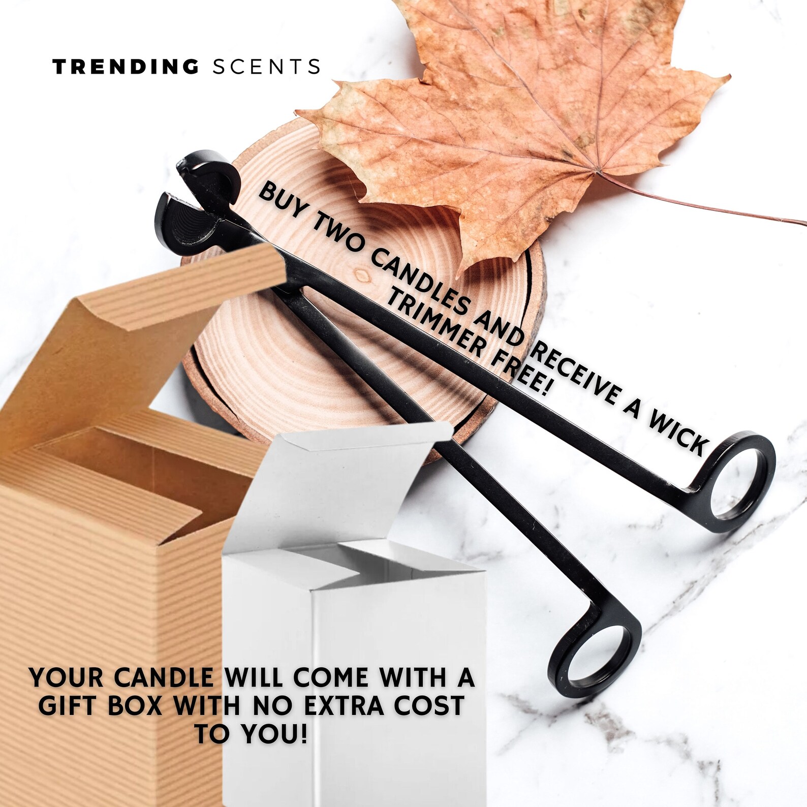 Smells Like Ruhn Danaan Candle | Acotar Inspired | Bookish / Book Lover ...