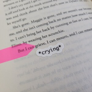 Book Annotation Stickers, Handmade Stickers, Bookish Gift, Annotation ...