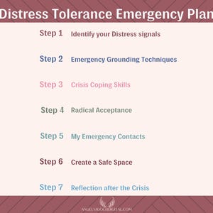 Distress Tolerance Emergency Plan Workbook 7-step Crisis Management ...
