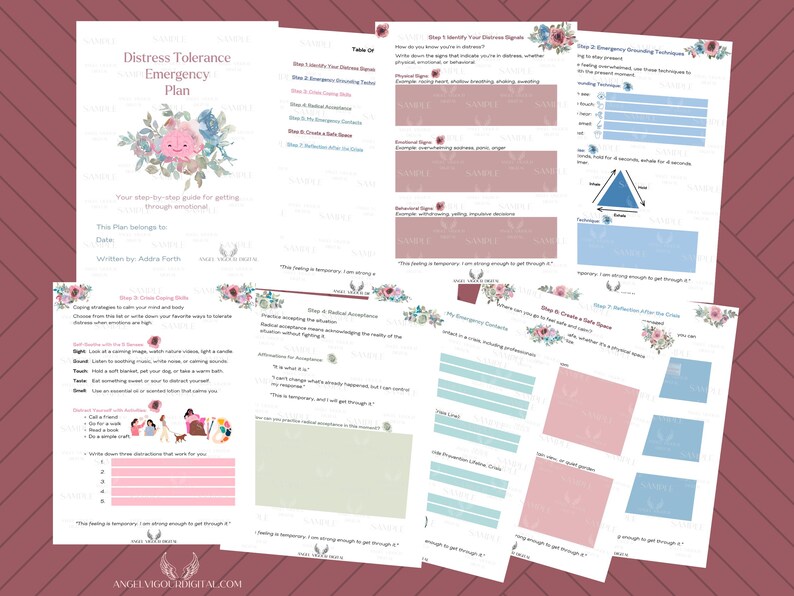 Distress Tolerance Emergency Plan Workbook 7-step Crisis Management ...