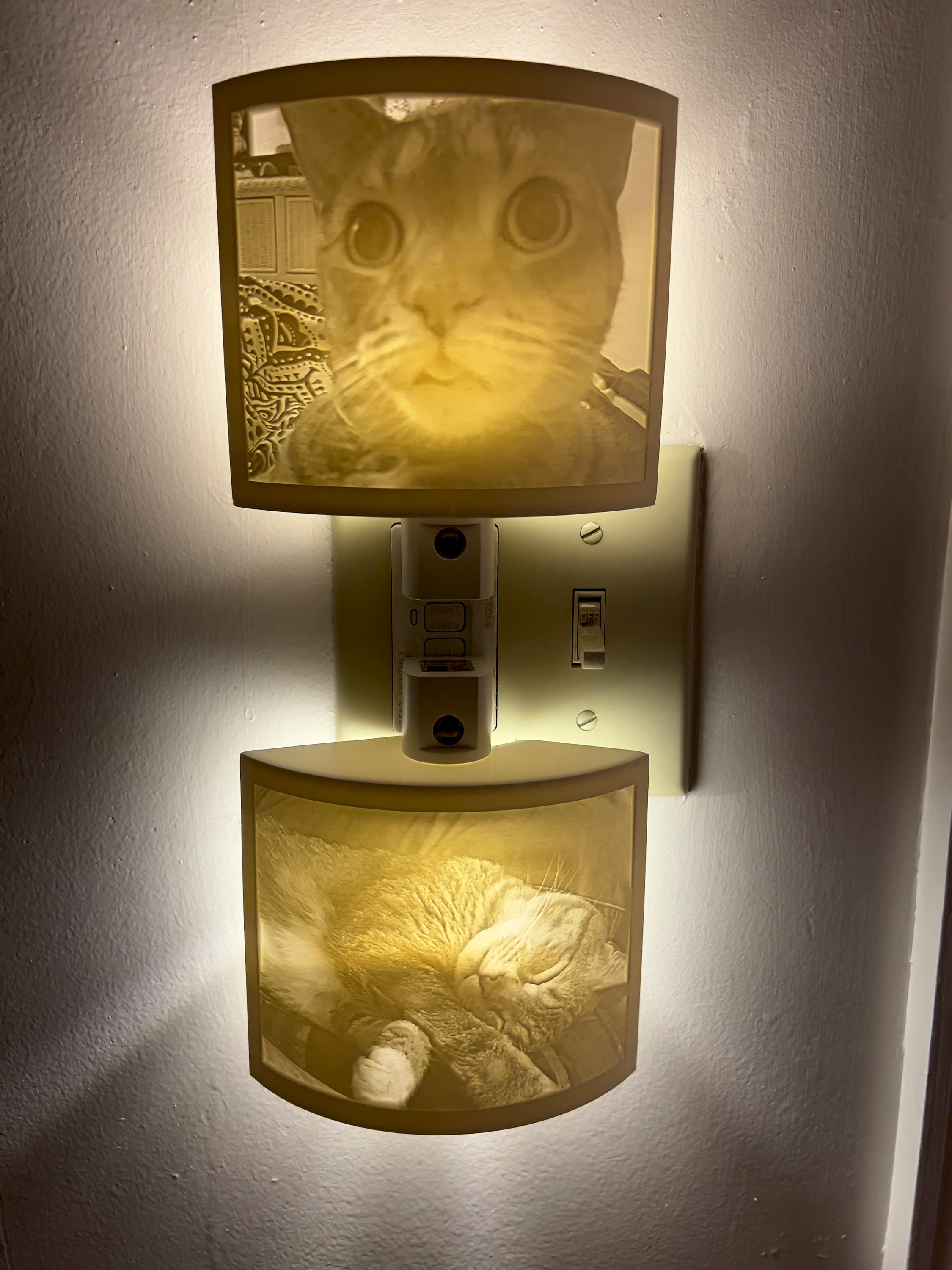 Custom Made Keepsake 3D Printed Night Light Lithopane Picture ...