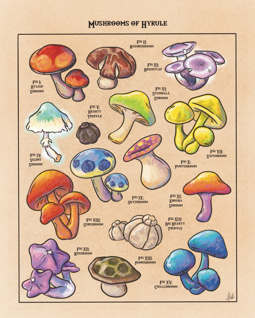 Mushrooms of Hyrule - Video Game Inspired Art Print - Etsy