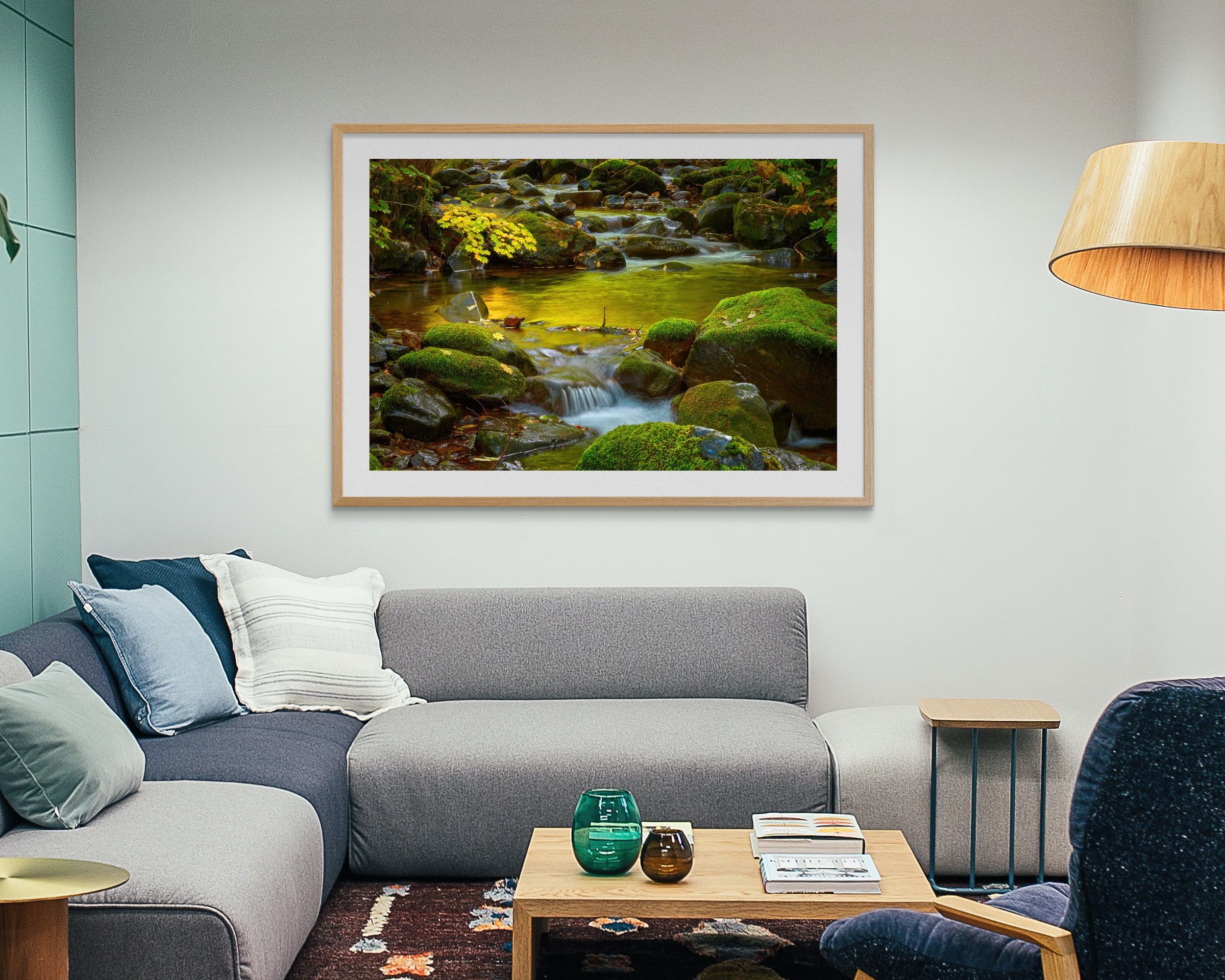 Forest Creek Scenic Photo, Fall Foliage on Mossy Rocks, Washington ...