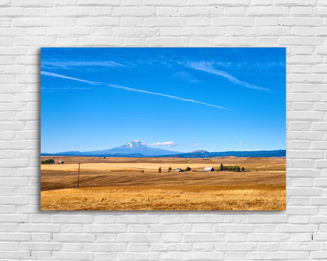 Washington State Farmland Landscape Photo, Mount Adams Above ...