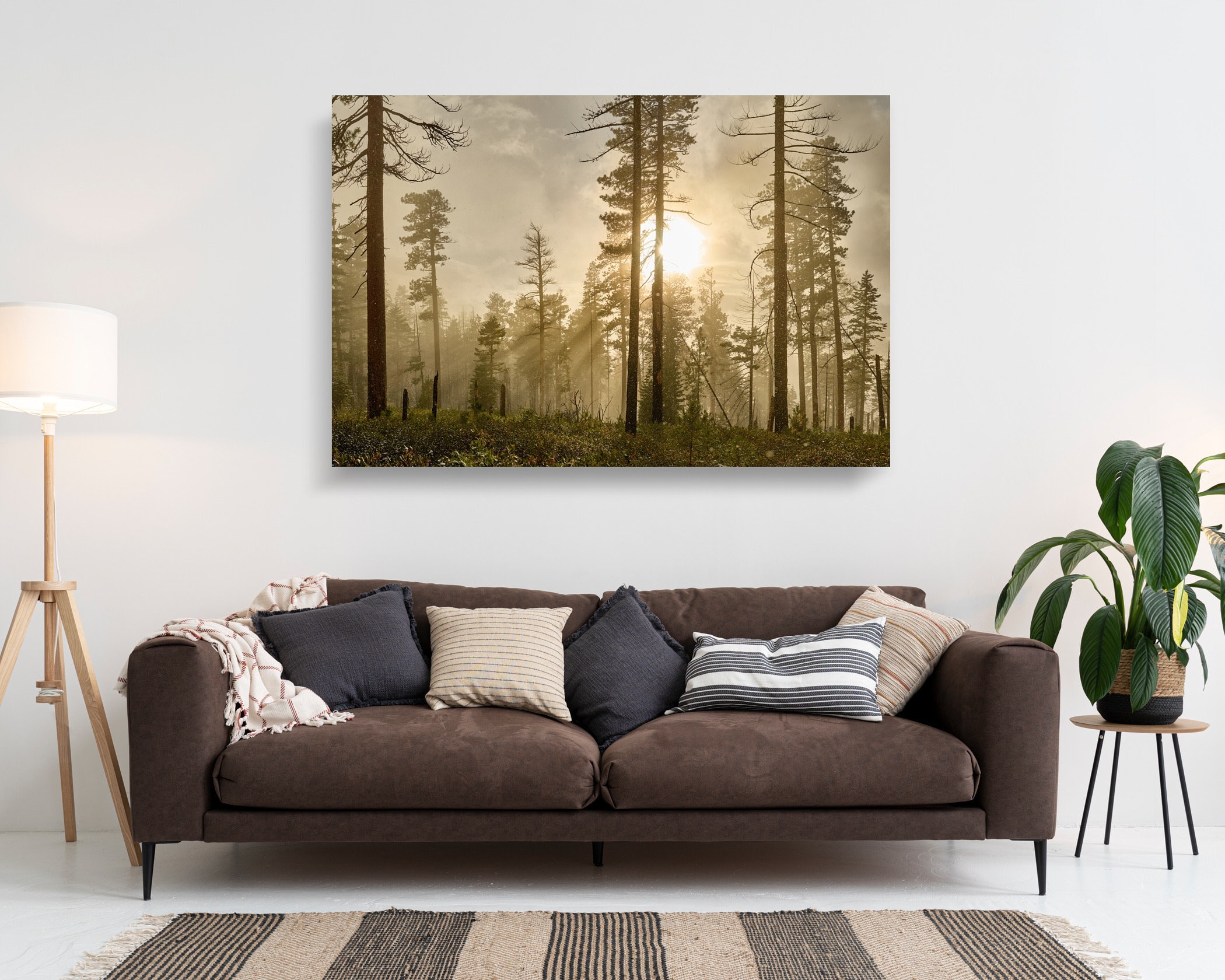 Sunset Snowfall in Central Oregon Mountain Forest, Late Autumn Nature ...