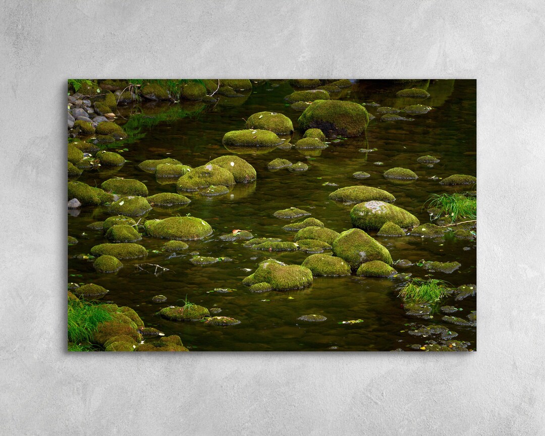 Calming Photo of the Mossy Rocks in the Lewis River, Washington State ...