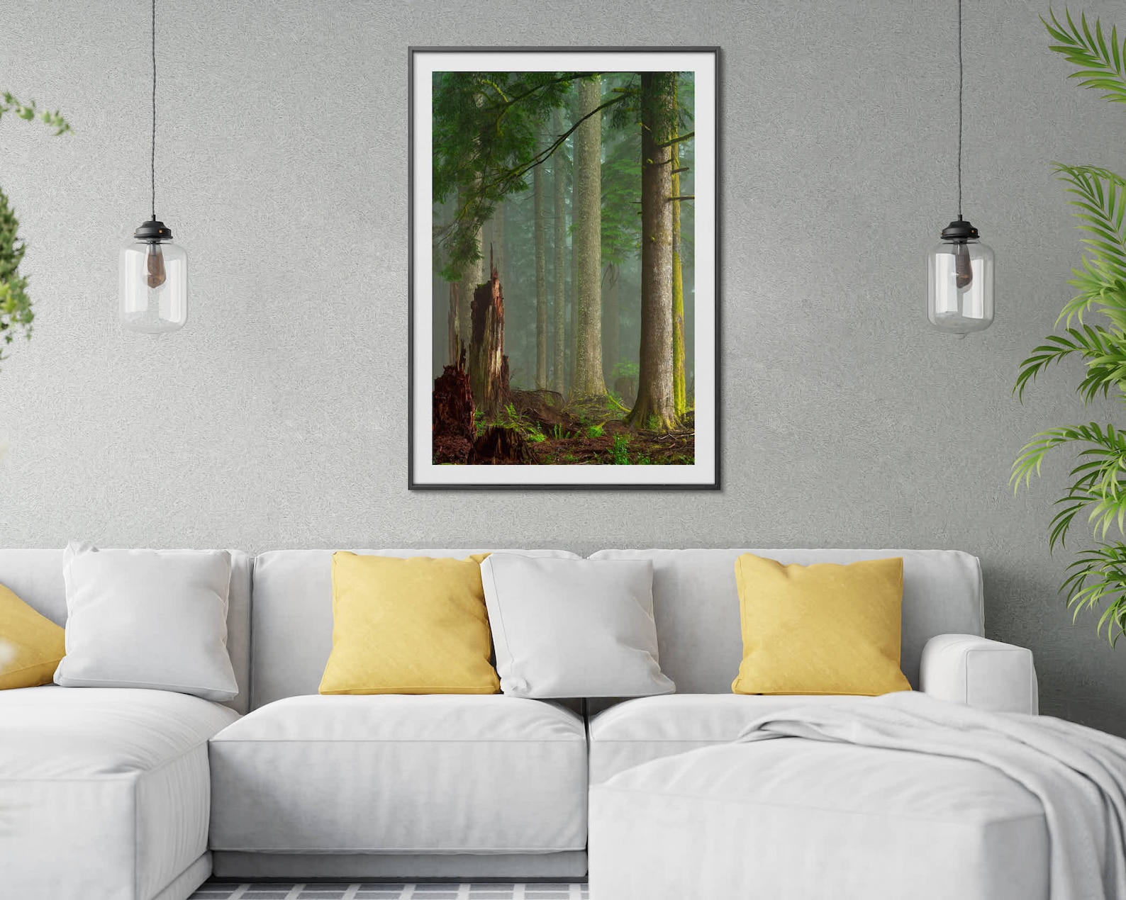 Oregon Nature Forest Photography, Pacific Northwest Moody Landscape ...