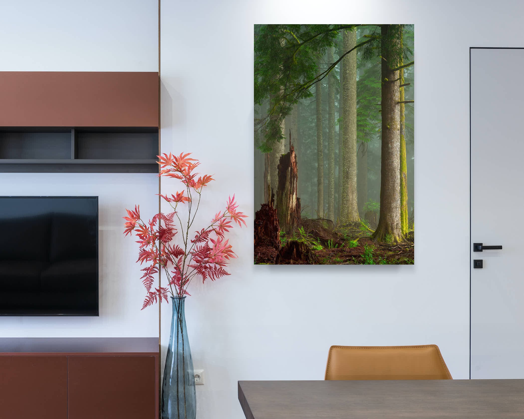 Oregon Nature Forest Photography, Pacific Northwest Moody Landscape ...