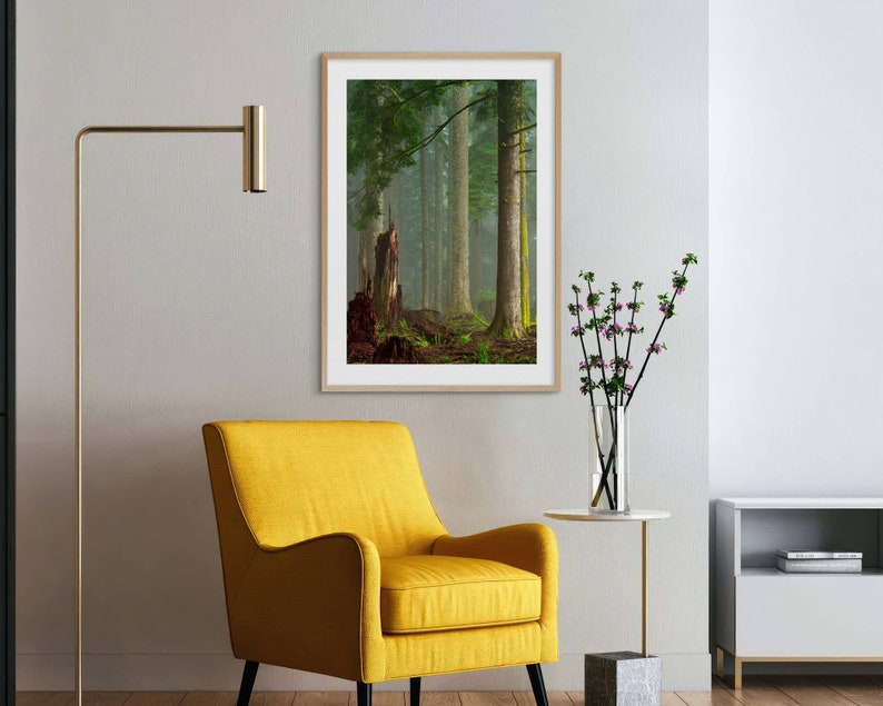 Oregon Nature Forest Photography, Pacific Northwest Moody Landscape ...