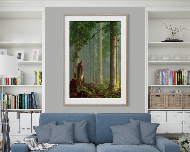 Oregon Nature Forest Photography, Pacific Northwest Moody Landscape ...