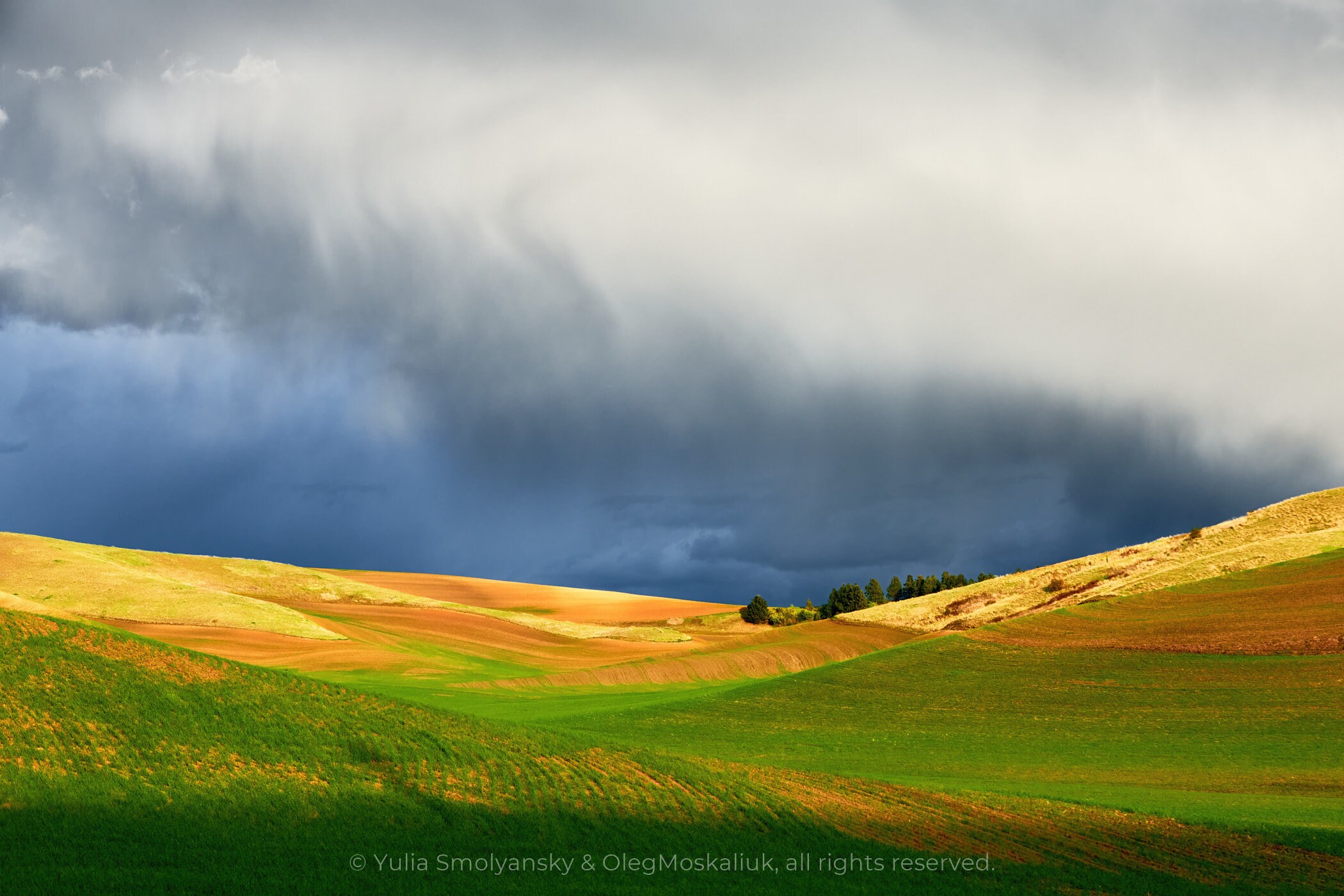Nature Photography Fields Palouse