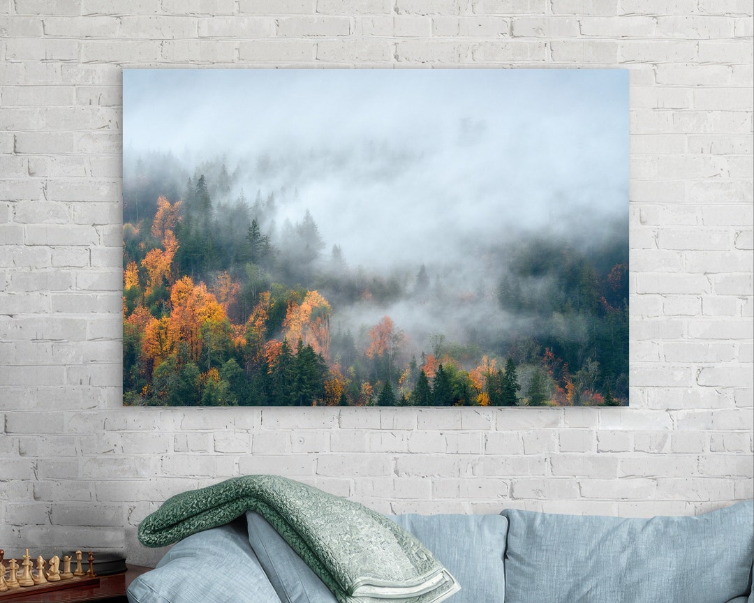 Morning Fog in the Washington State Cascade Mountains, Autumn Forest ...