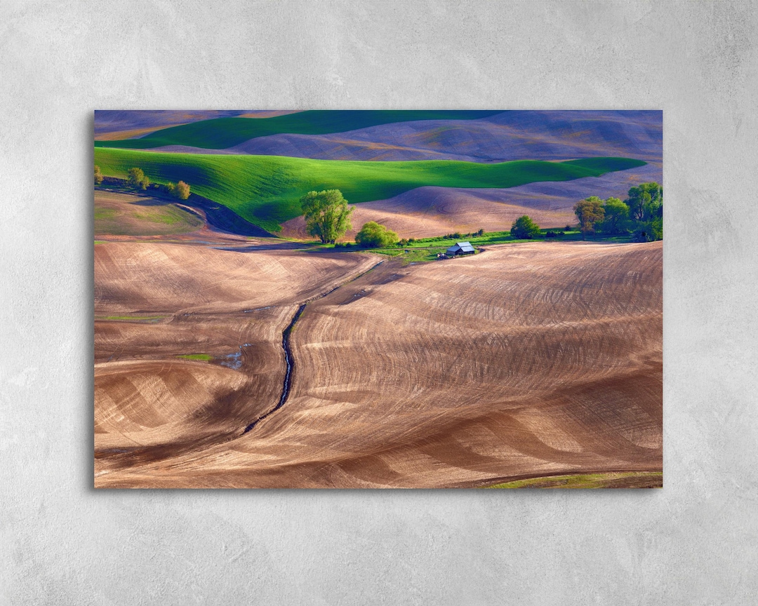 Palouse Hills Golden Hour Farmland Photo, Countryside Spring Landscape ...