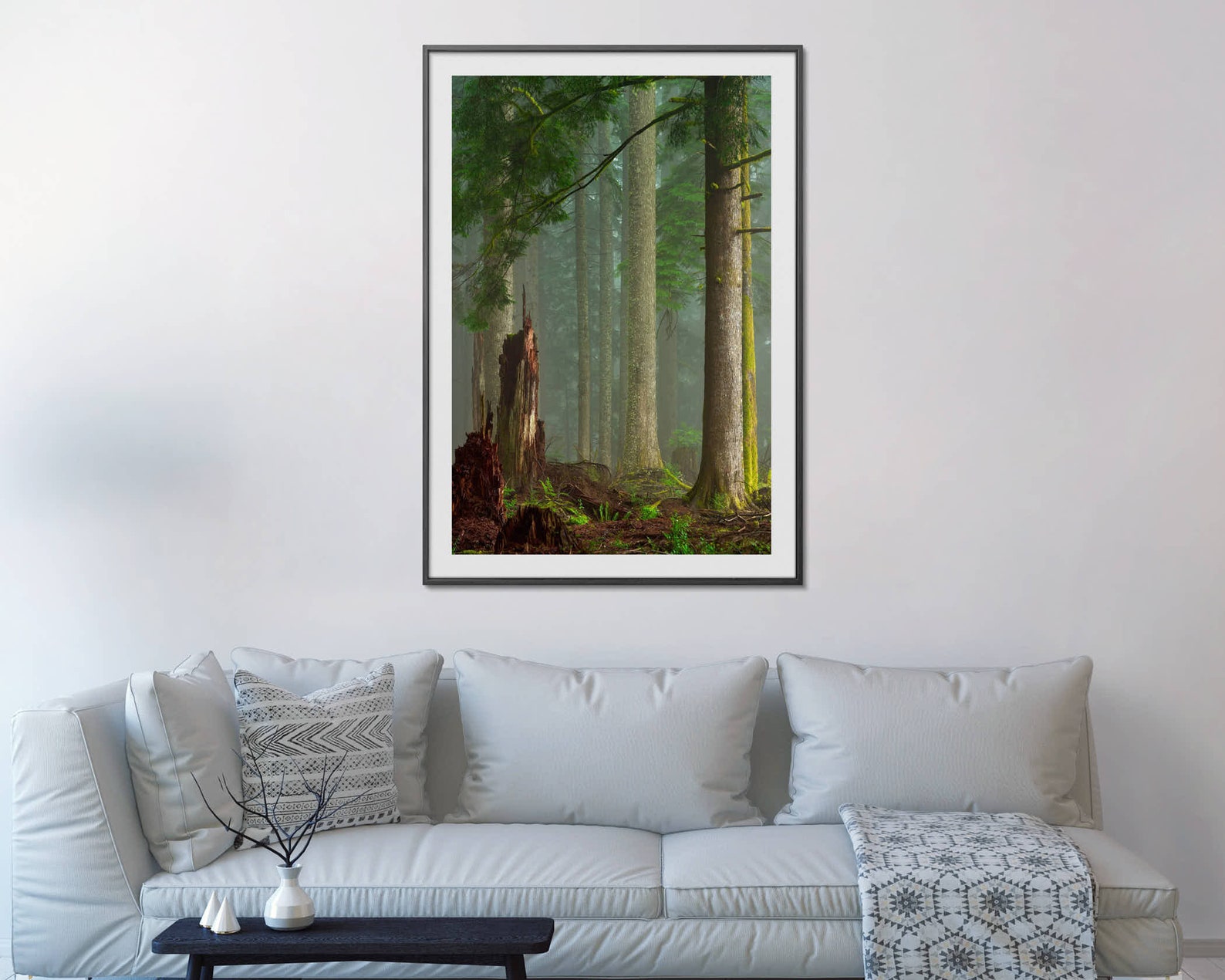 Oregon Nature Forest Photography, Pacific Northwest Moody Landscape ...