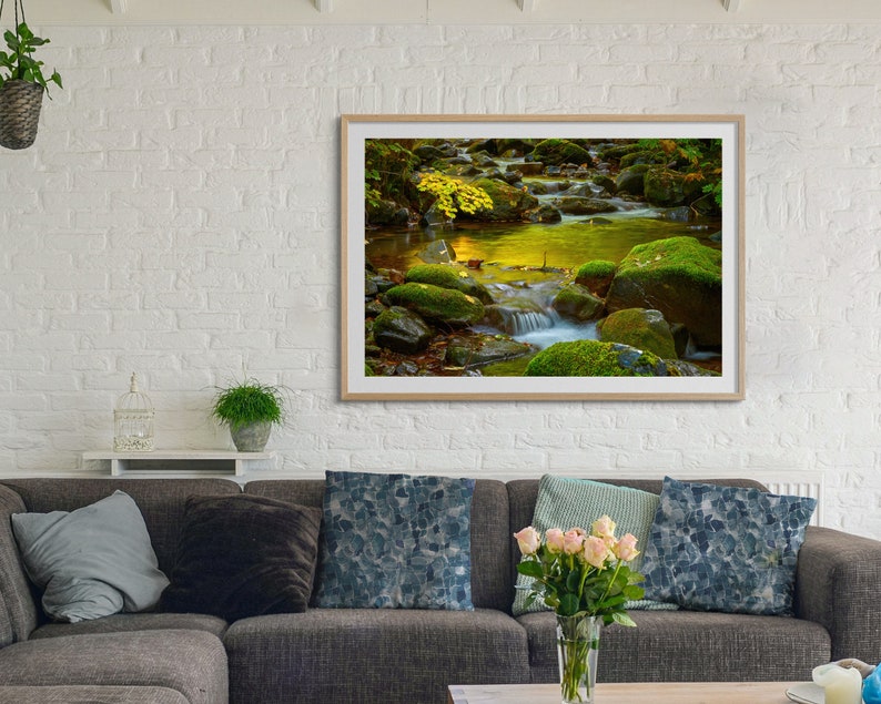 Forest Creek Scenic Photo, Fall Foliage on Mossy Rocks, Washington ...