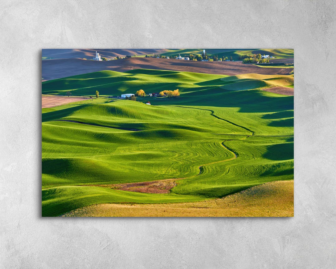 Palouse Hills Spring Landscape Photo Print, Rolling Hills in Spring ...