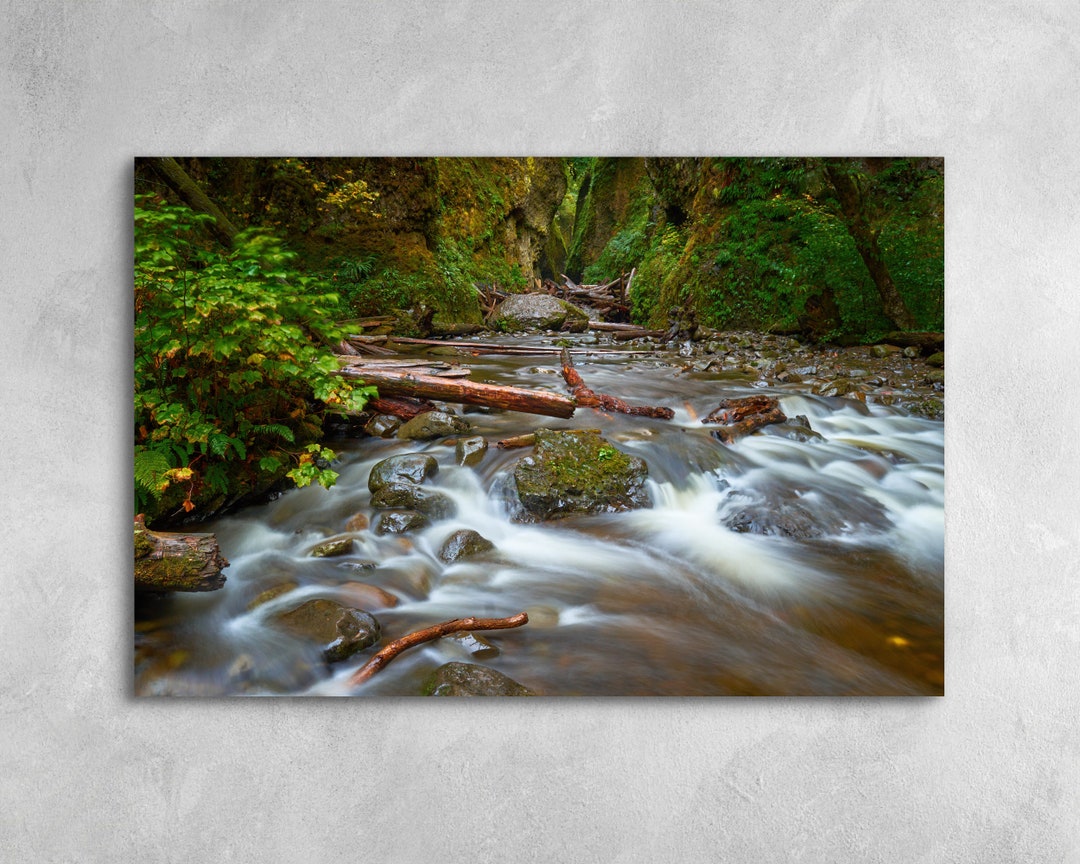 Photo Print of the Oneonta Gorge in the Columbia River Gorge, Water ...