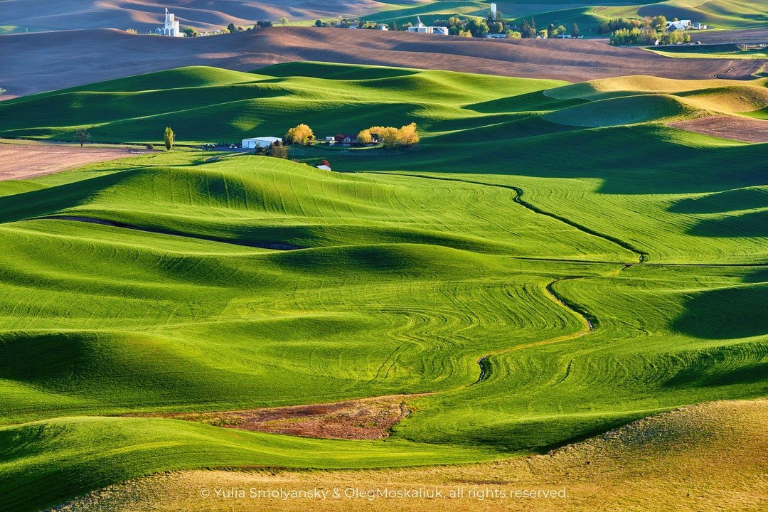 Spring Palouse Hills Photo. Sunset on the Palouse. Spring - Etsy