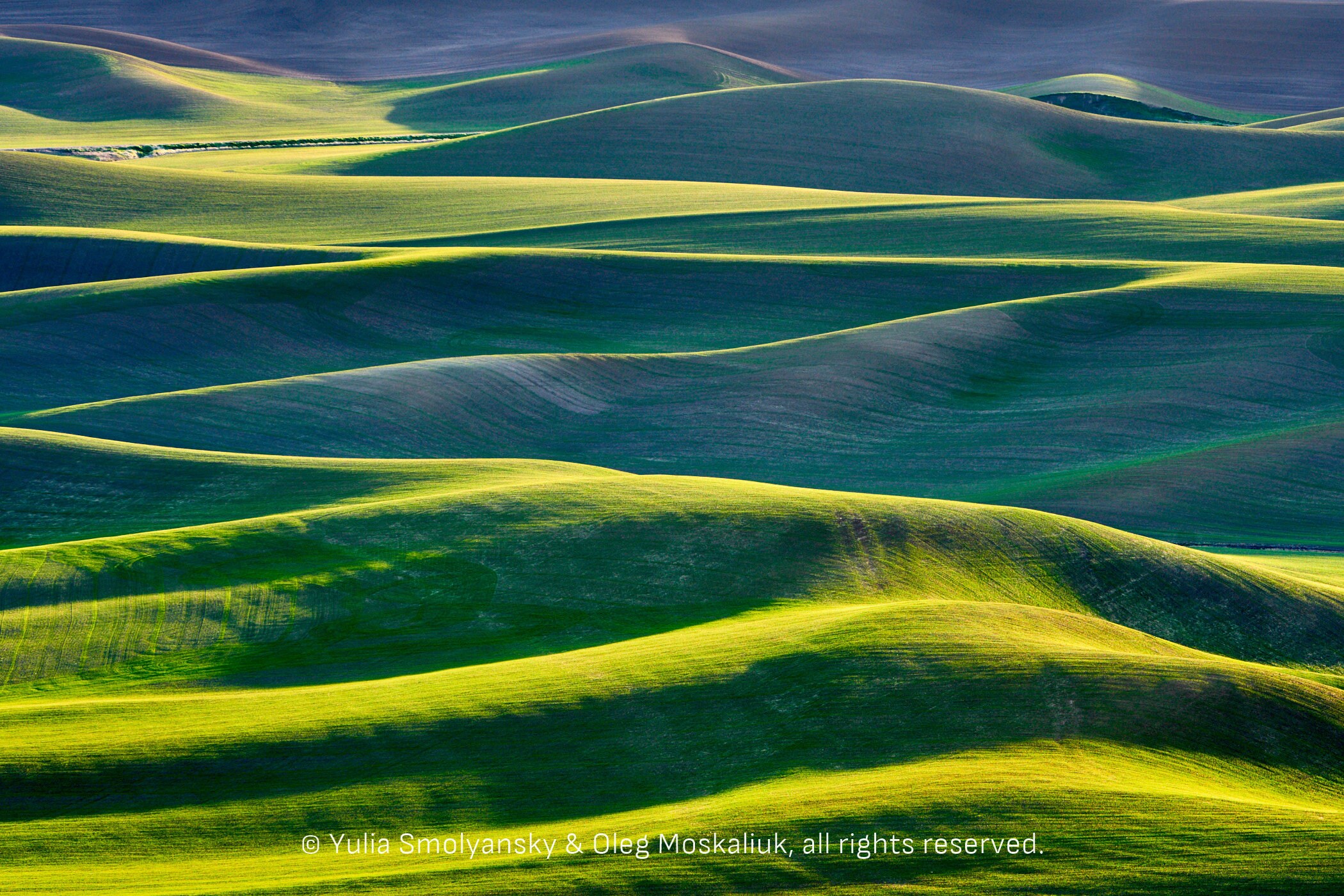 Palouse Hills Waves. Abstract Photo of the Rolling Hills. Palouse ...