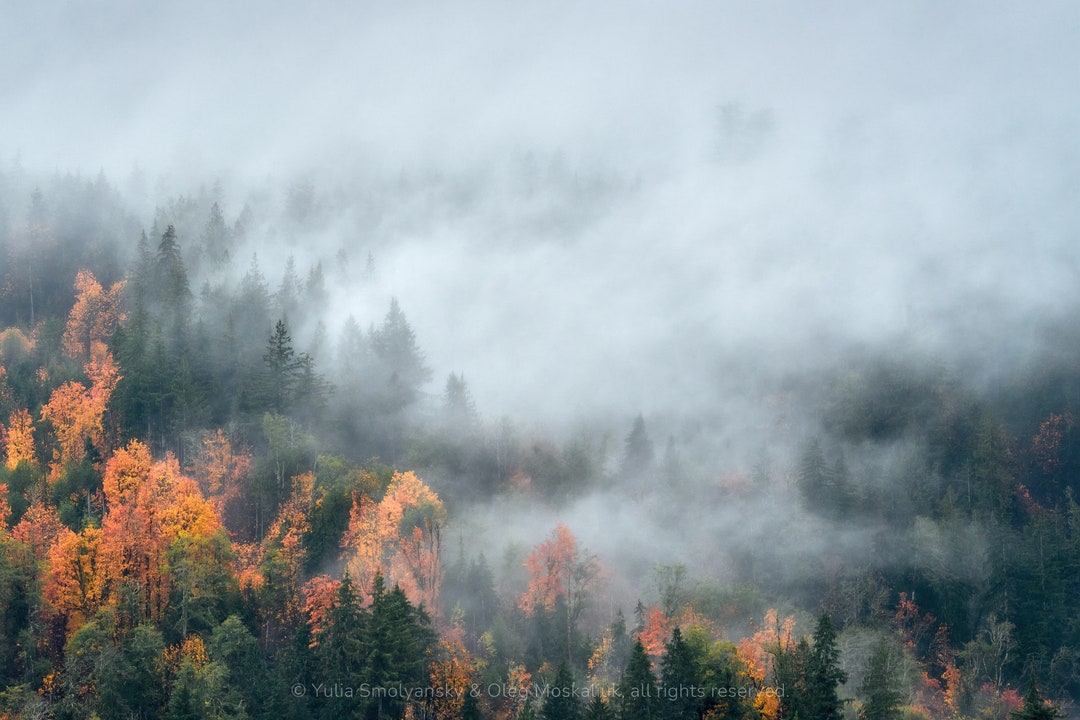 Oregon Mountains Morning Fog, Pacific Northwest Wall Art, Autumn Forest ...