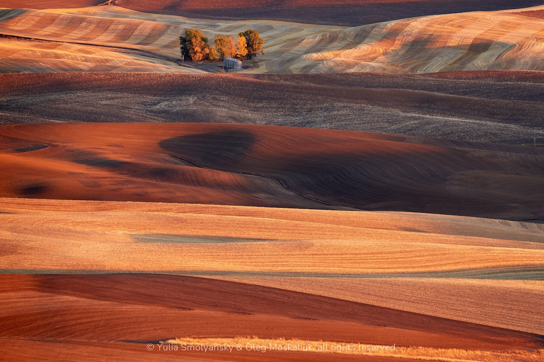 Palouse Hills Sunset, Eastern Washington Autumn Landscape, Palouse ...