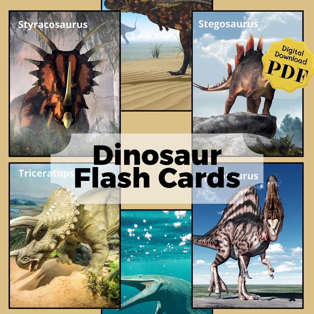Dinosaur Flash Cards | Montessori Materials | Matching Card Game ...